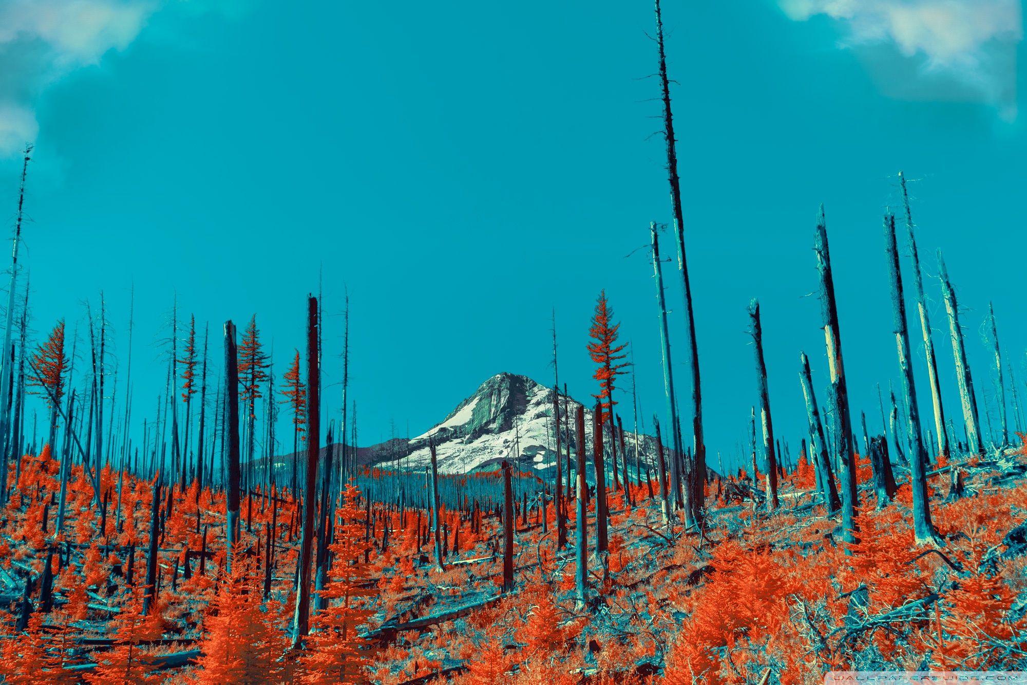 Apocalyptic Landscape Wallpapers - Top Free Apocalyptic Landscape ...