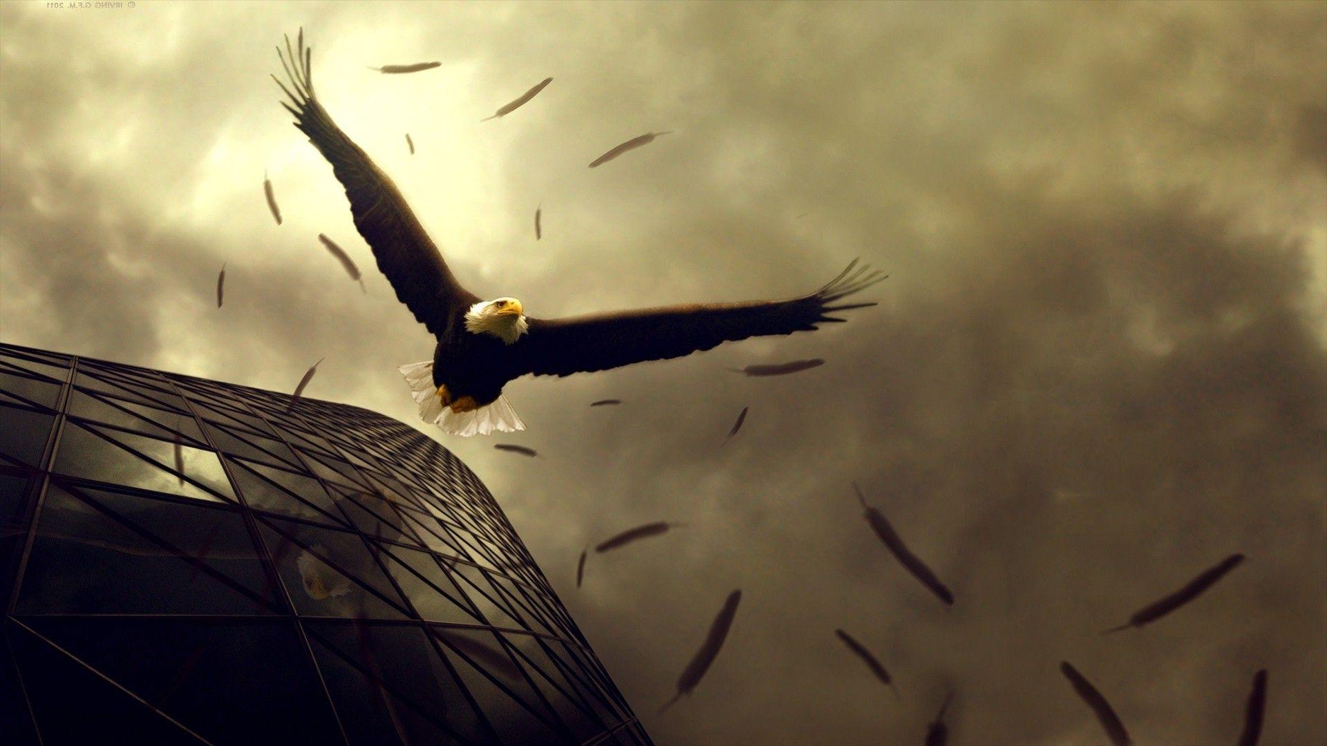 Dark Eagle Wallpapers - Top Free Dark Eagle Backgrounds - WallpaperAccess