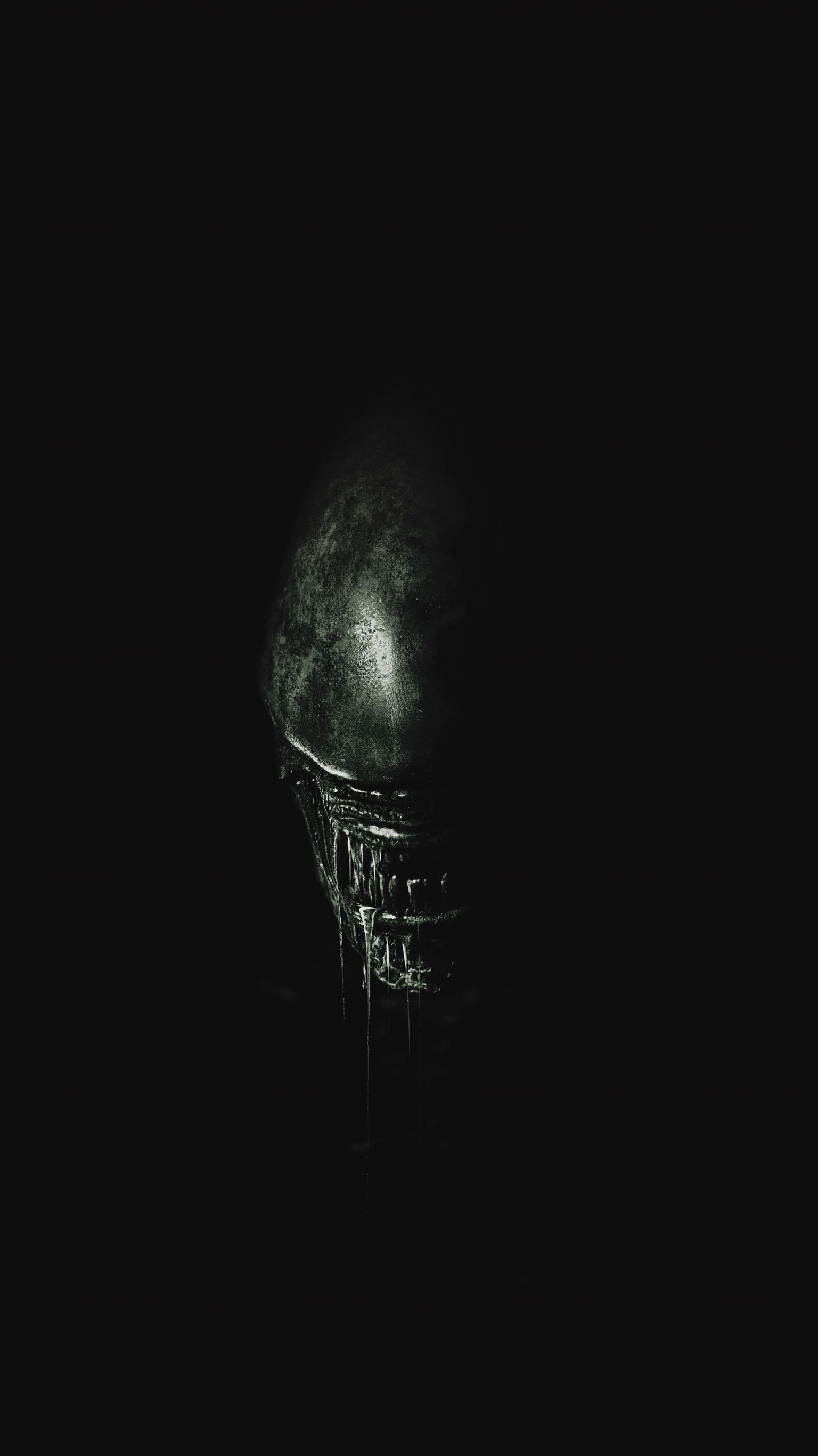Alien Skull Wallpapers - Top Free Alien Skull Backgrounds - WallpaperAccess