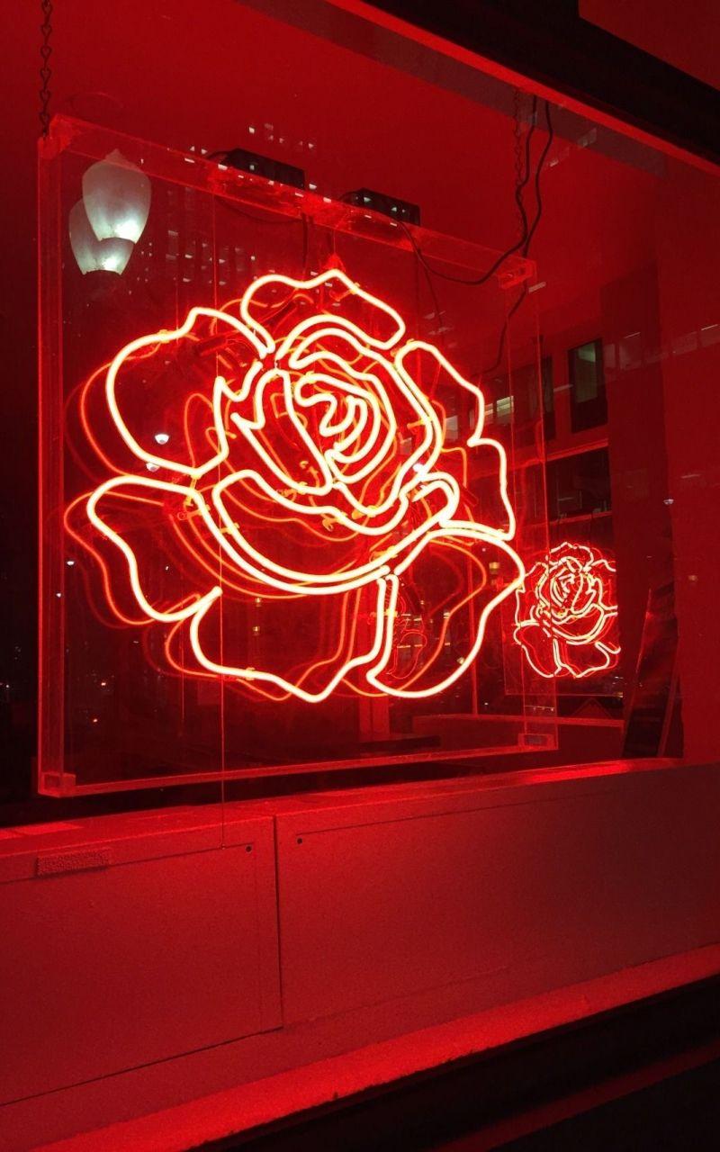 Bright Red Wallpapers - Top Free Bright Red Backgrounds - WallpaperAccess