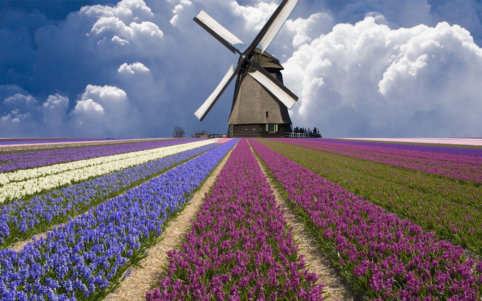 Holland Desktop Wallpapers - Top Free Holland Desktop Backgrounds ...