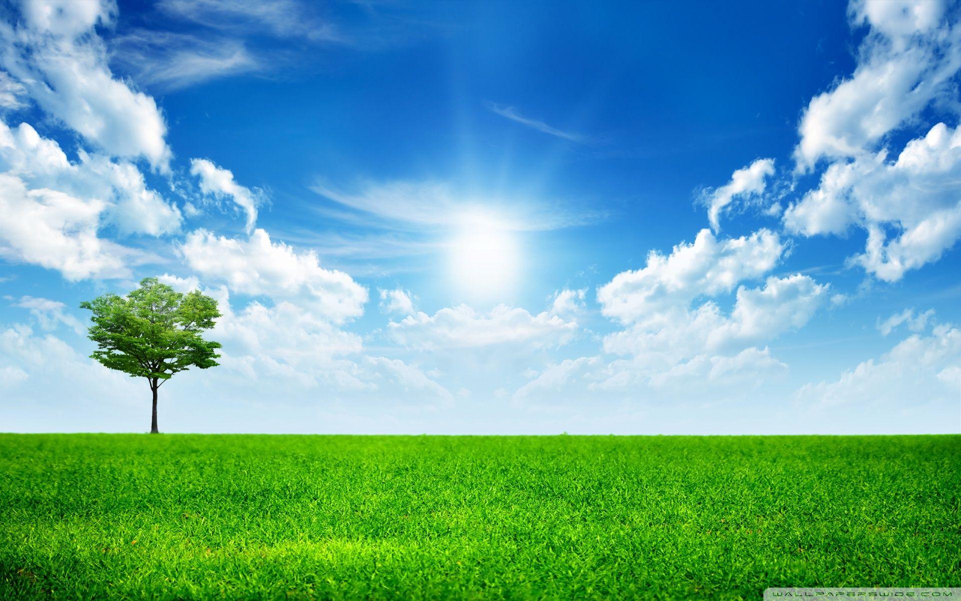 Cool Green Desktop Wallpapers - Top Free Cool Green Desktop Backgrounds ...