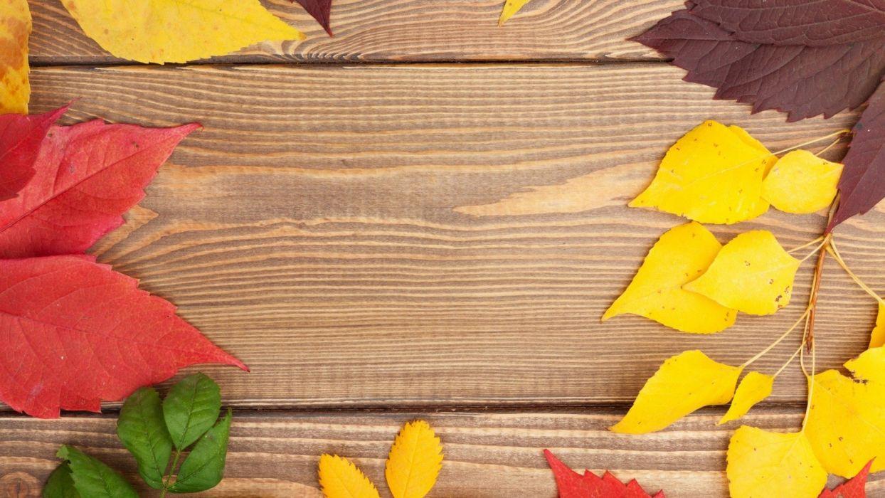 Happy Fall Wallpapers - Top Free Happy Fall Backgrounds - WallpaperAccess