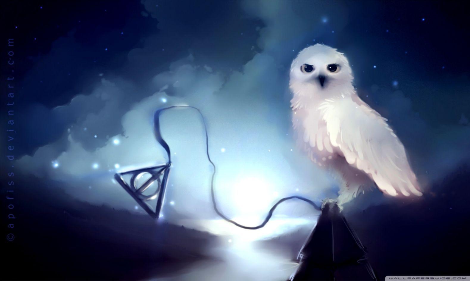 Beautiful Owl Wallpapers - Top Free Beautiful Owl Backgrounds ...