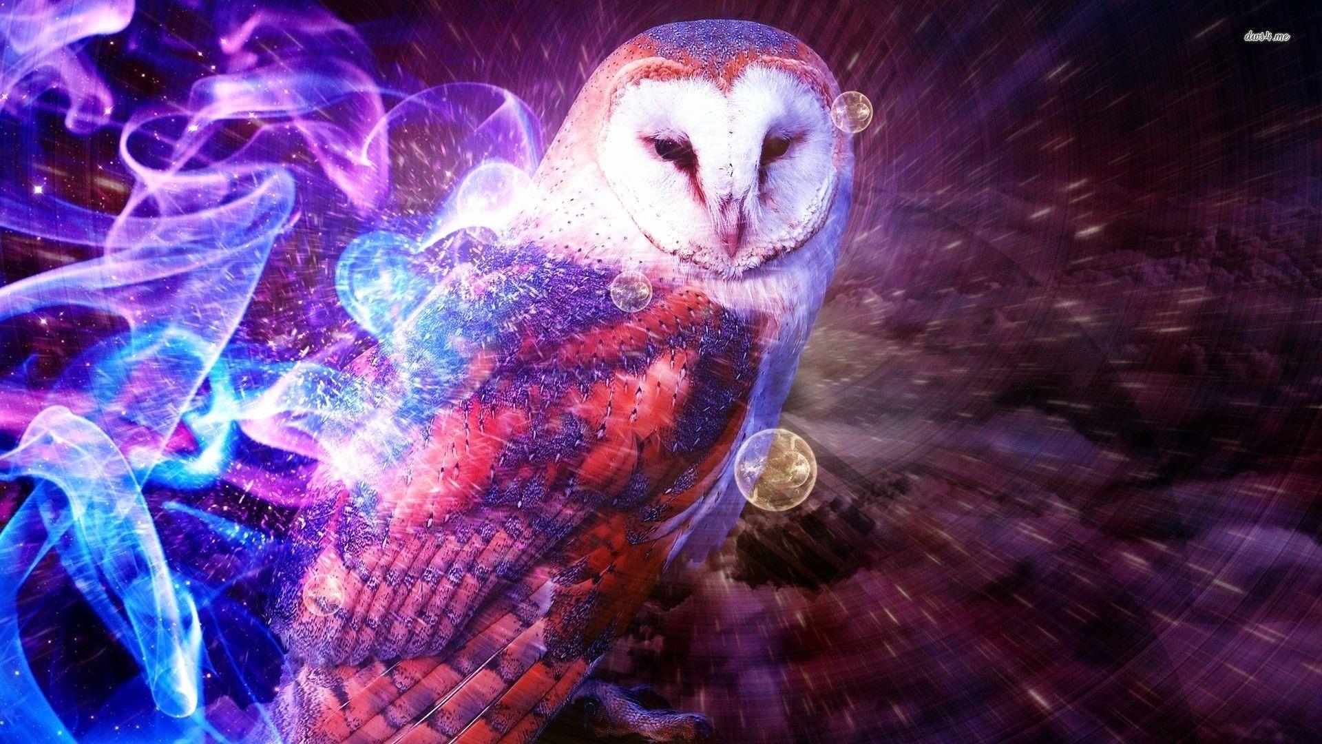 Beautiful Owl Wallpapers - Top Free Beautiful Owl Backgrounds ...