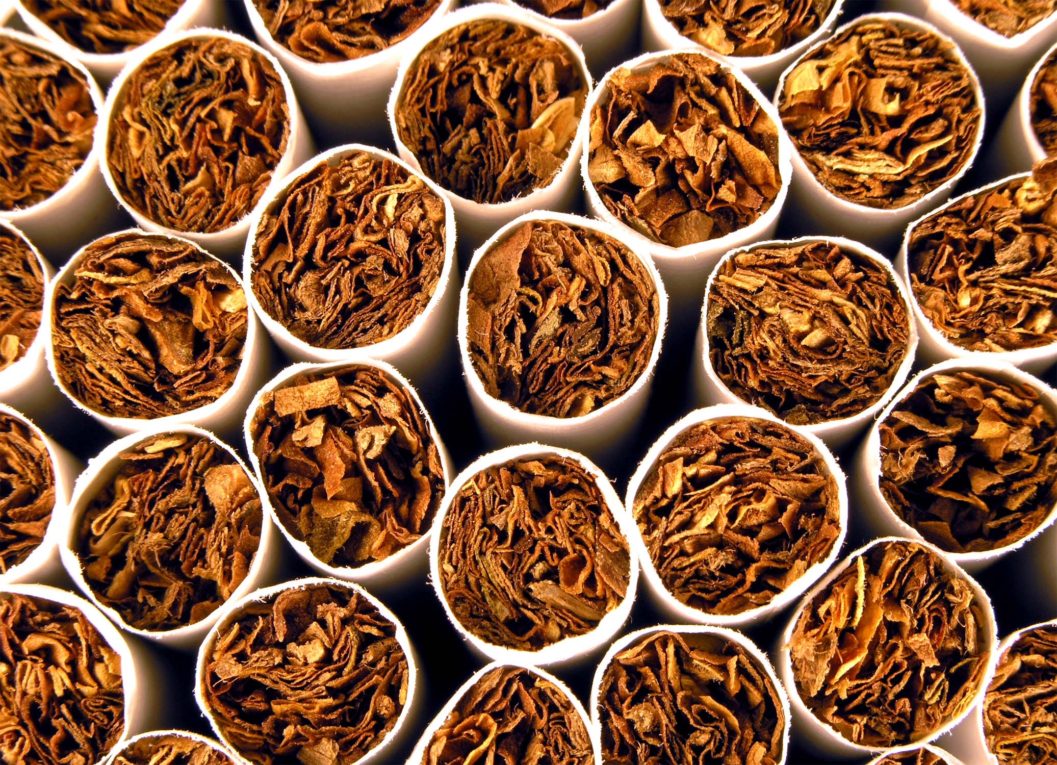 Tobacco Wallpapers - Top Free Tobacco Backgrounds - WallpaperAccess