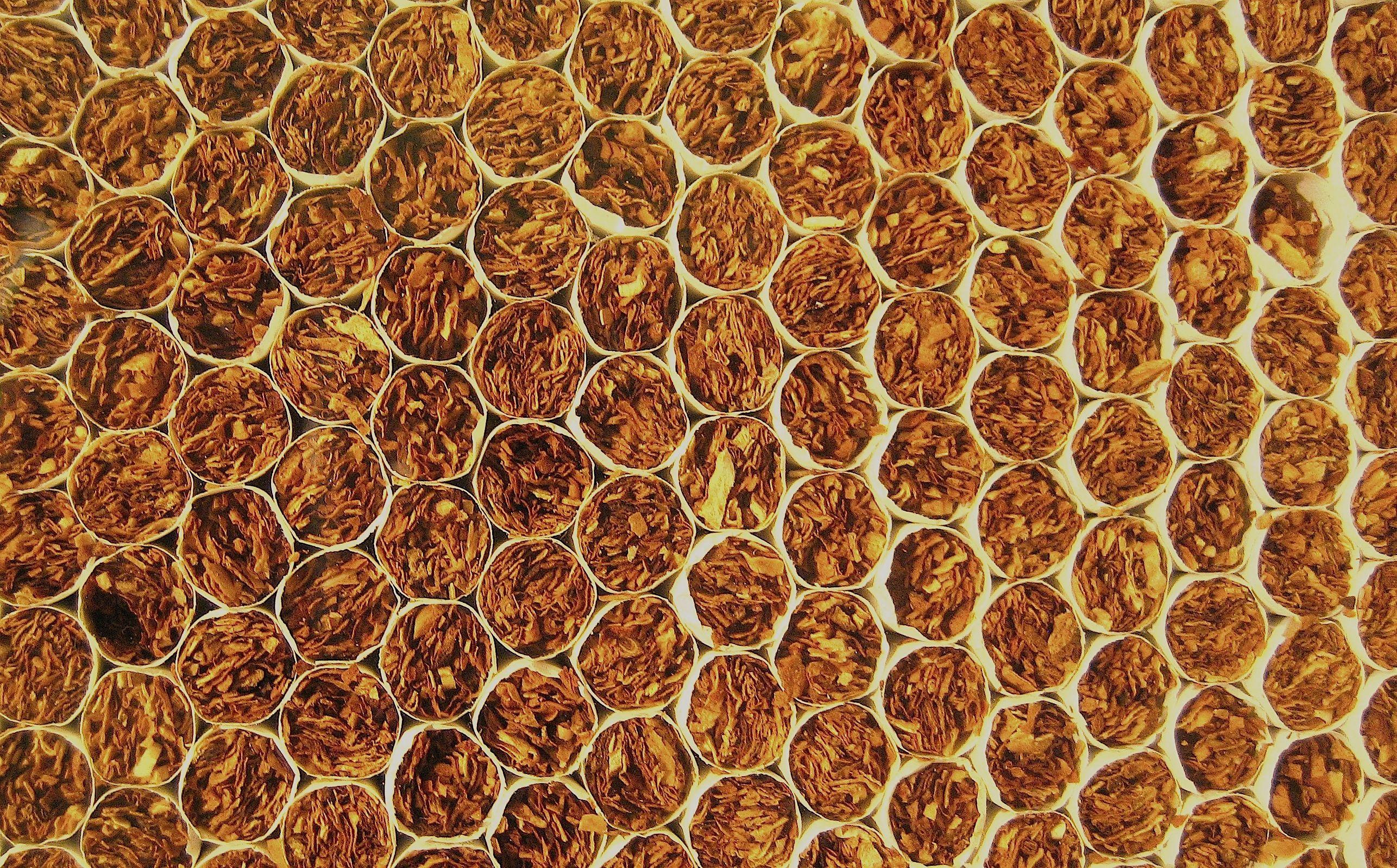 Tobacco Wallpapers - Top Free Tobacco Backgrounds - WallpaperAccess