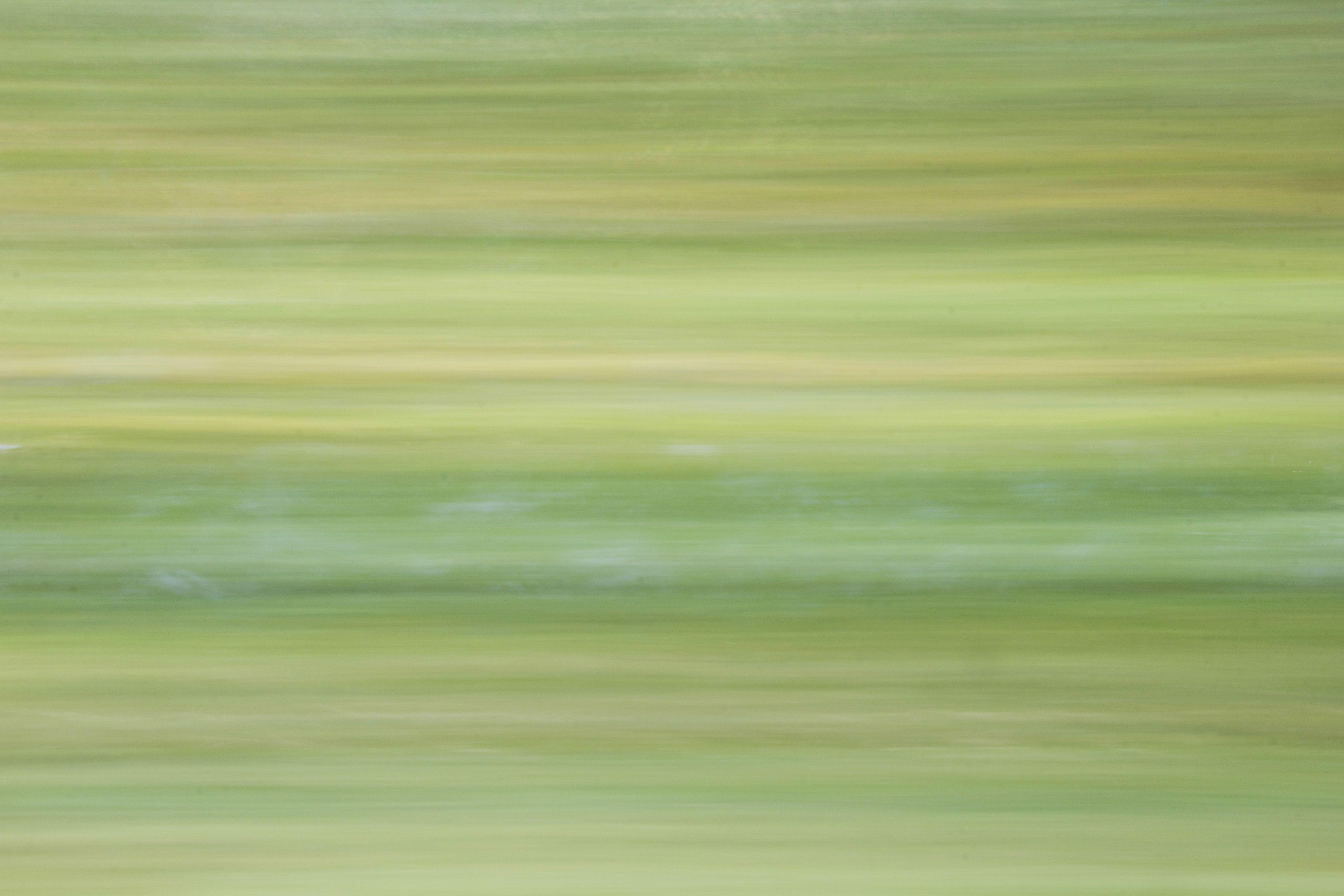 Light Green Desktop Wallpapers - Top Free Light Green Desktop ...