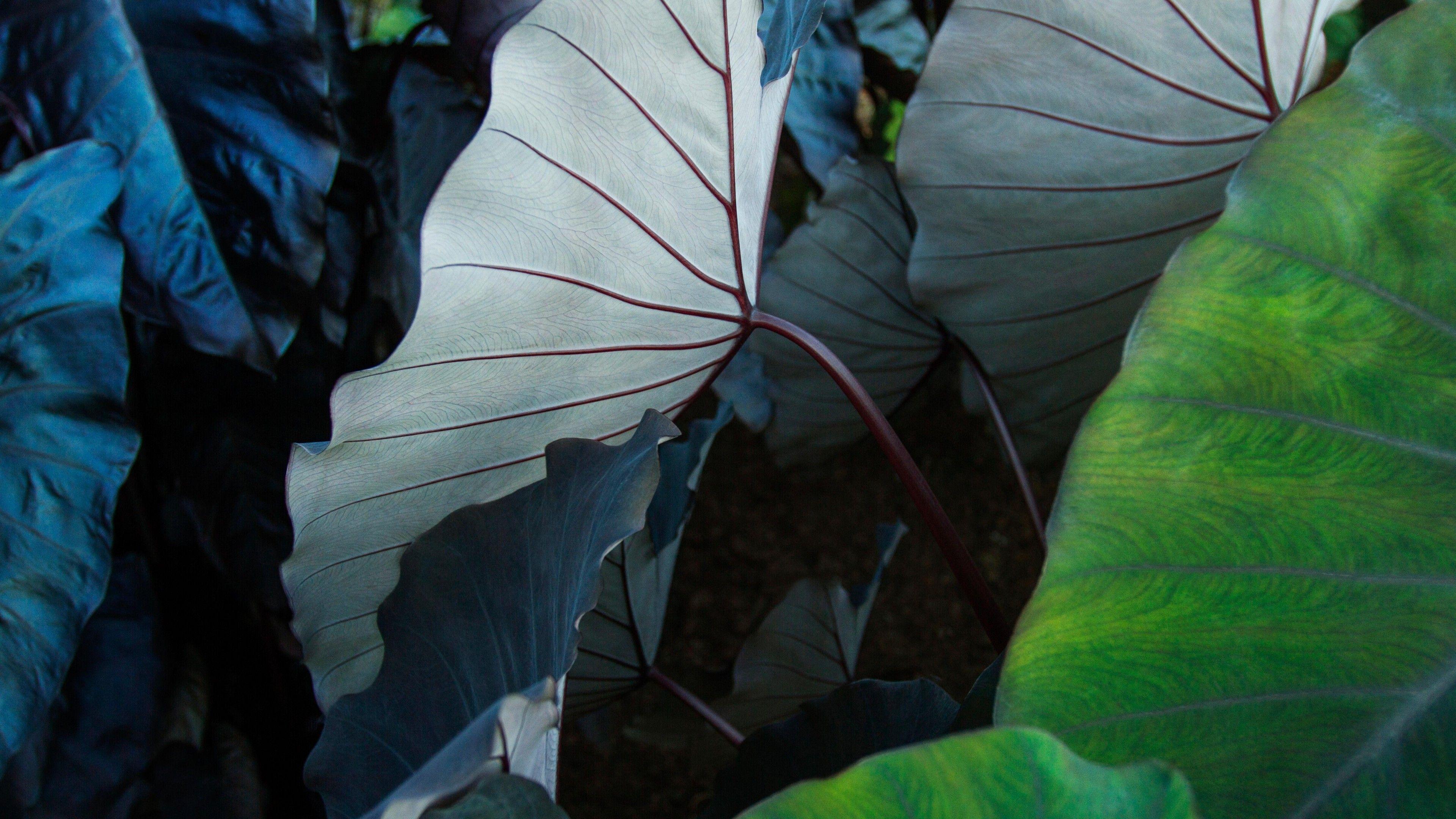 Ipad Stock Wallpapers - Top Free Ipad Stock Backgrounds - WallpaperAccess