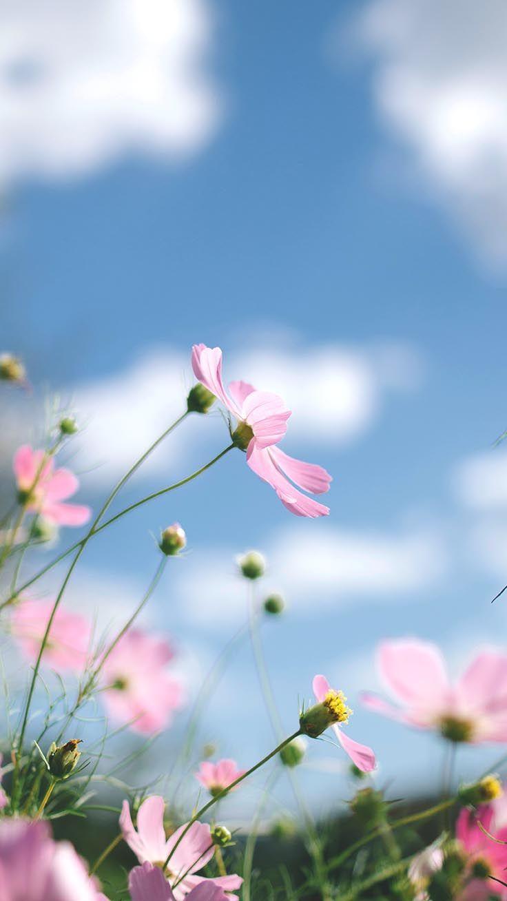 Spring Time Wallpapers - Top Free Spring Time Backgrounds - WallpaperAccess