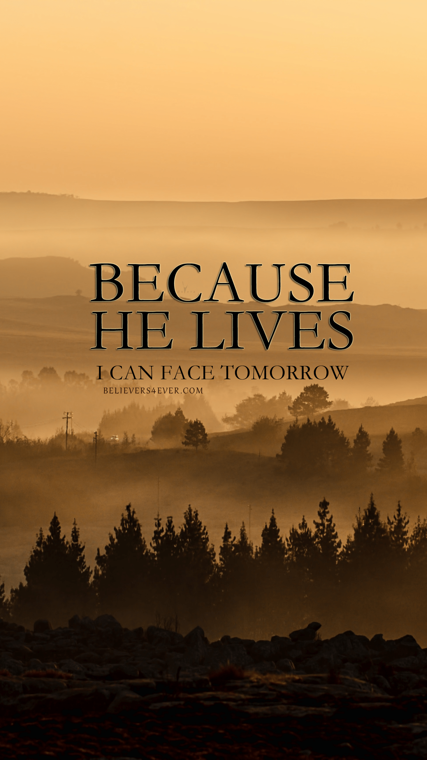 Bible Phone Wallpapers - Top Free Bible Phone Backgrounds - WallpaperAccess