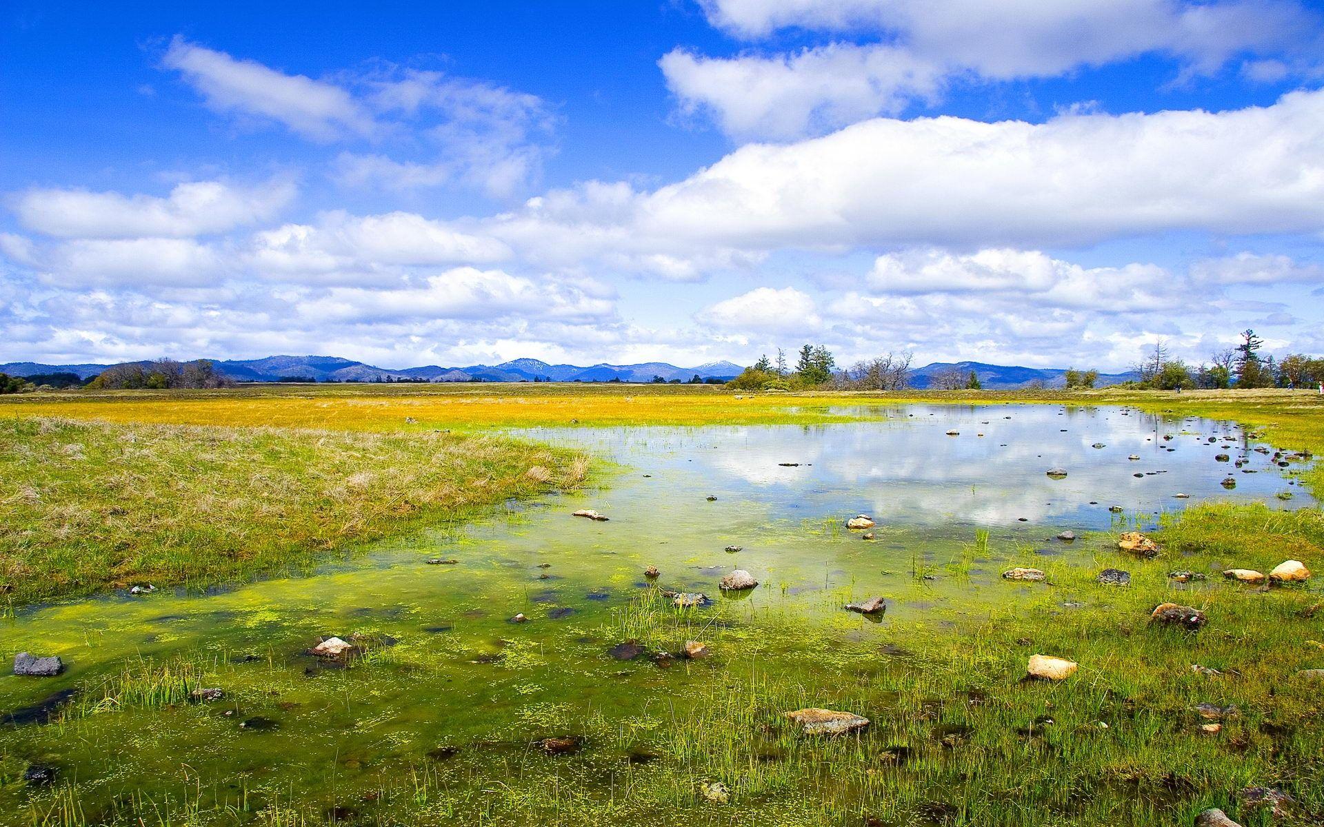 Earth Nature Wallpapers - Top Free Earth Nature Backgrounds ...