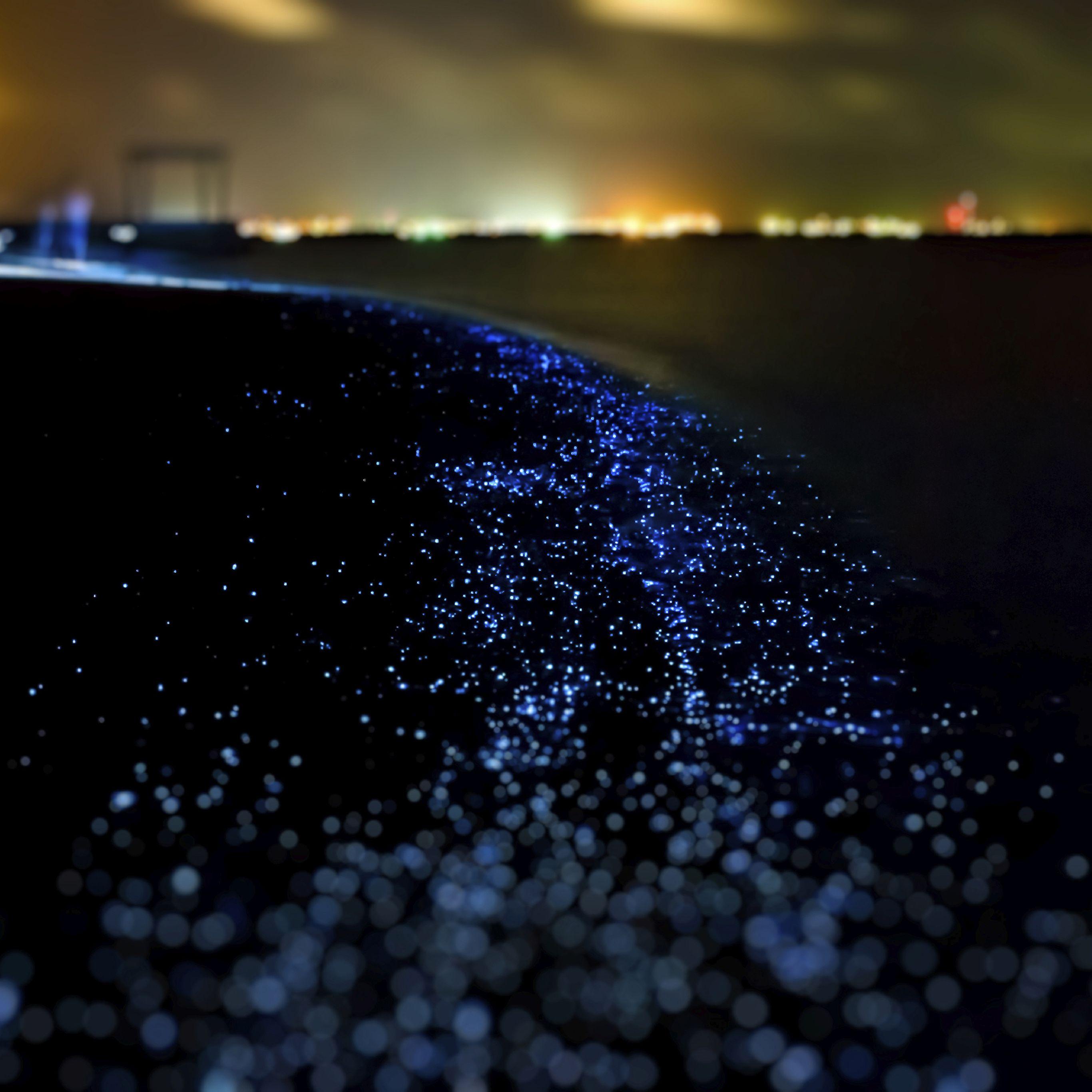 Dark Beautiful Wallpapers - Top Free Dark Beautiful Backgrounds ...