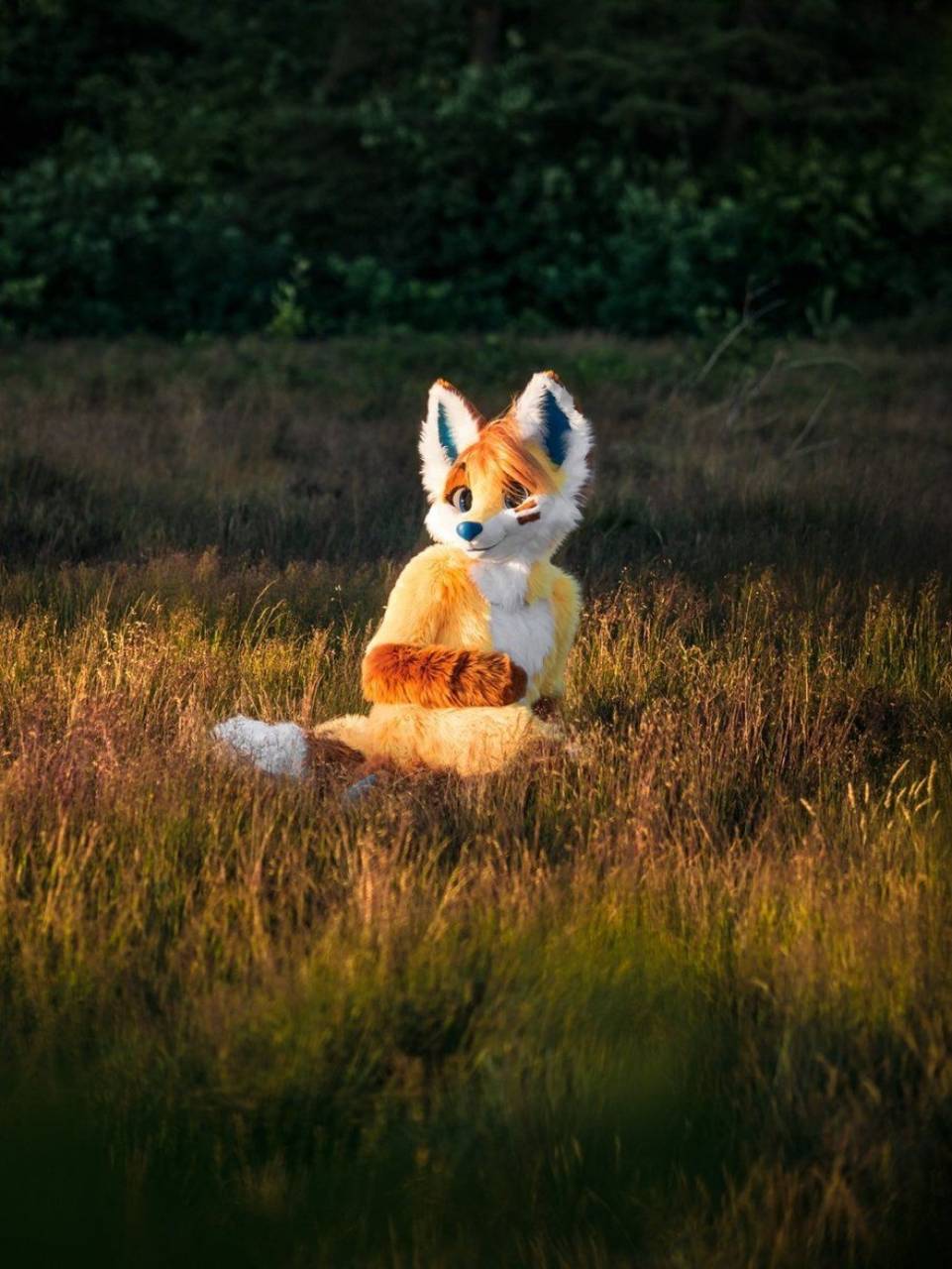 Fursuit Wallpapers - Top Free Fursuit Backgrounds - WallpaperAccess