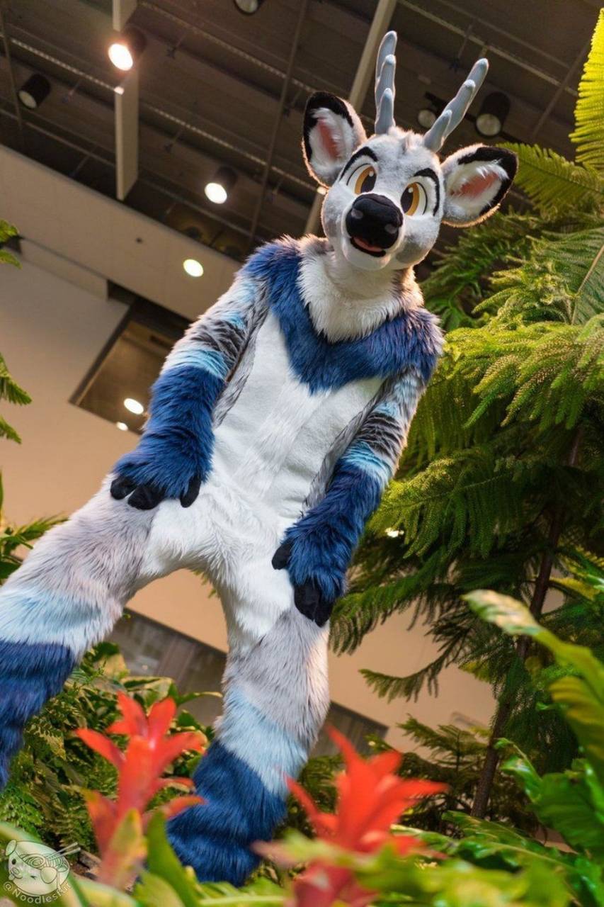 Fursuit Wallpapers - Top Free Fursuit Backgrounds - WallpaperAccess