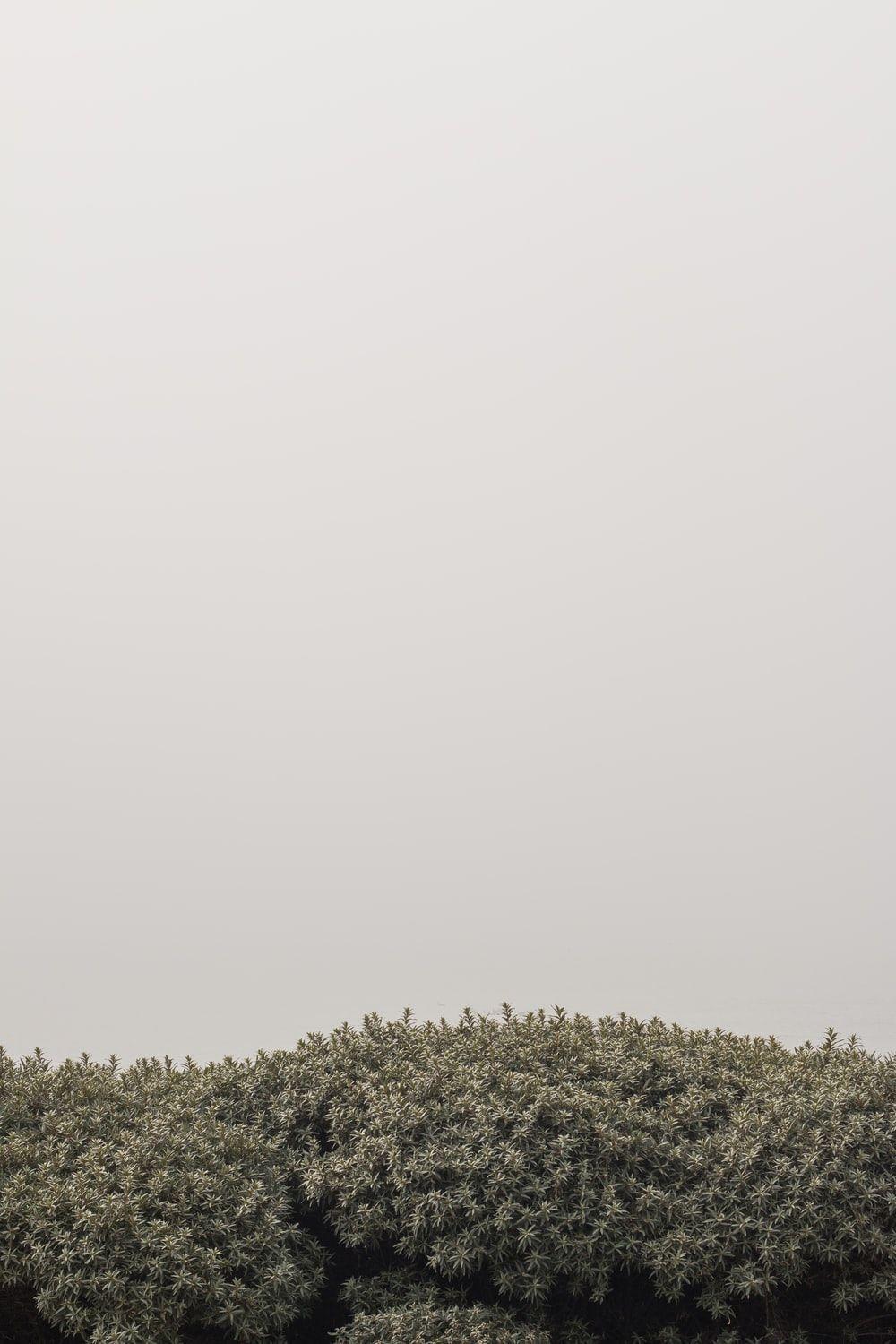 Minimalist Outdoor Wallpapers - Top Free Minimalist Outdoor Backgrounds ...