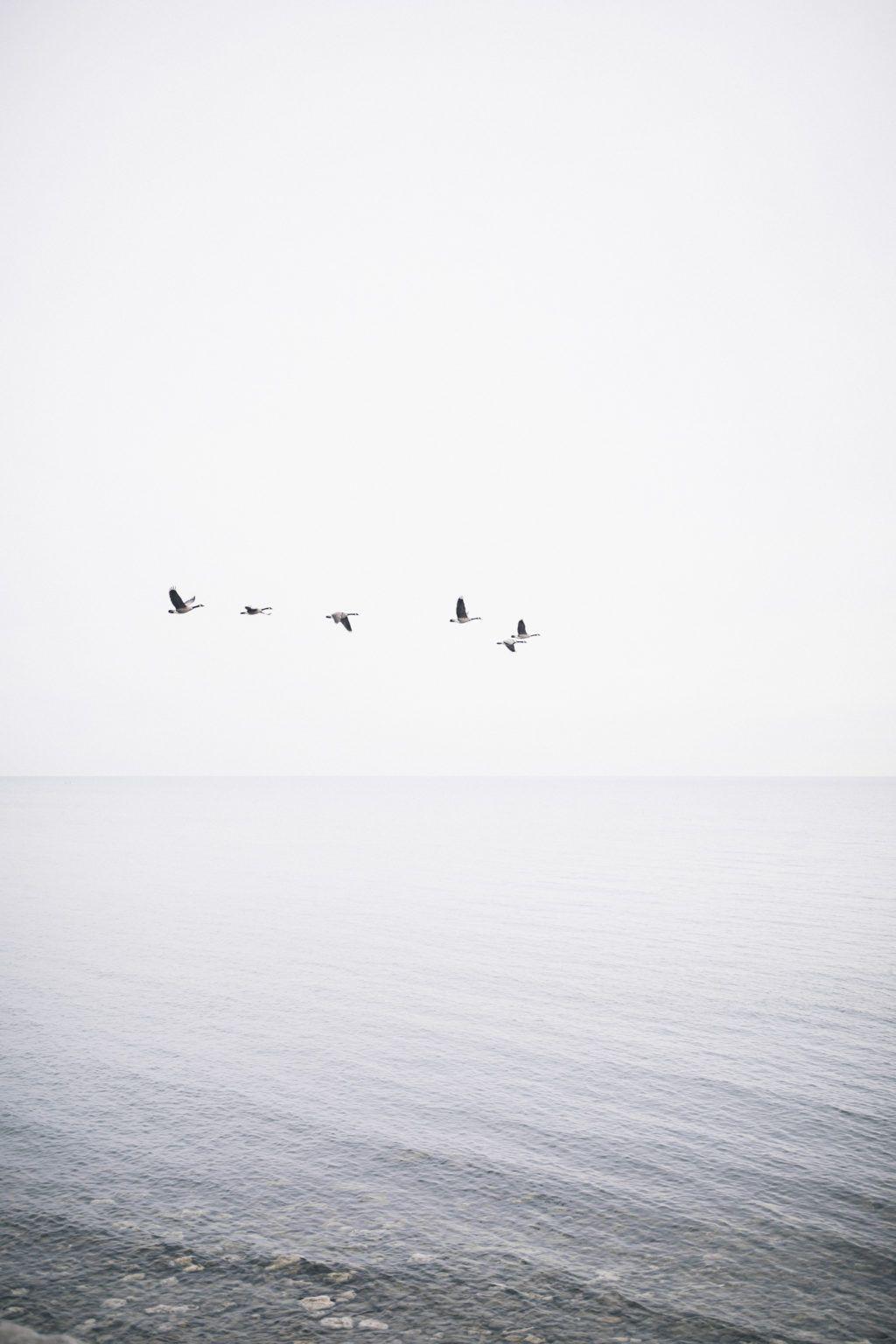 Minimal Photography Wallpapers - Top Free Minimal Photography ...