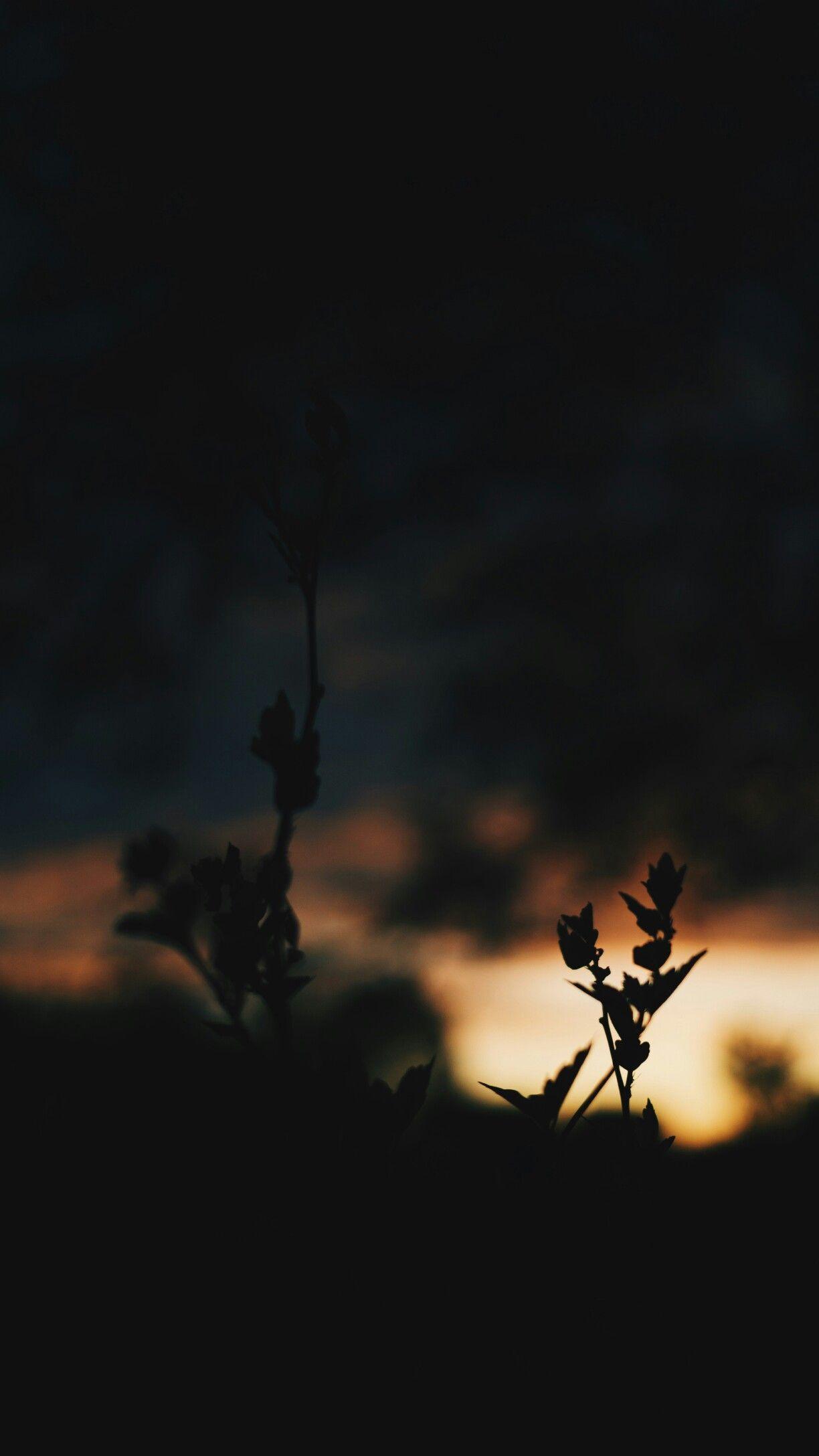 Minimal Photography Wallpapers - Top Free Minimal Photography ...