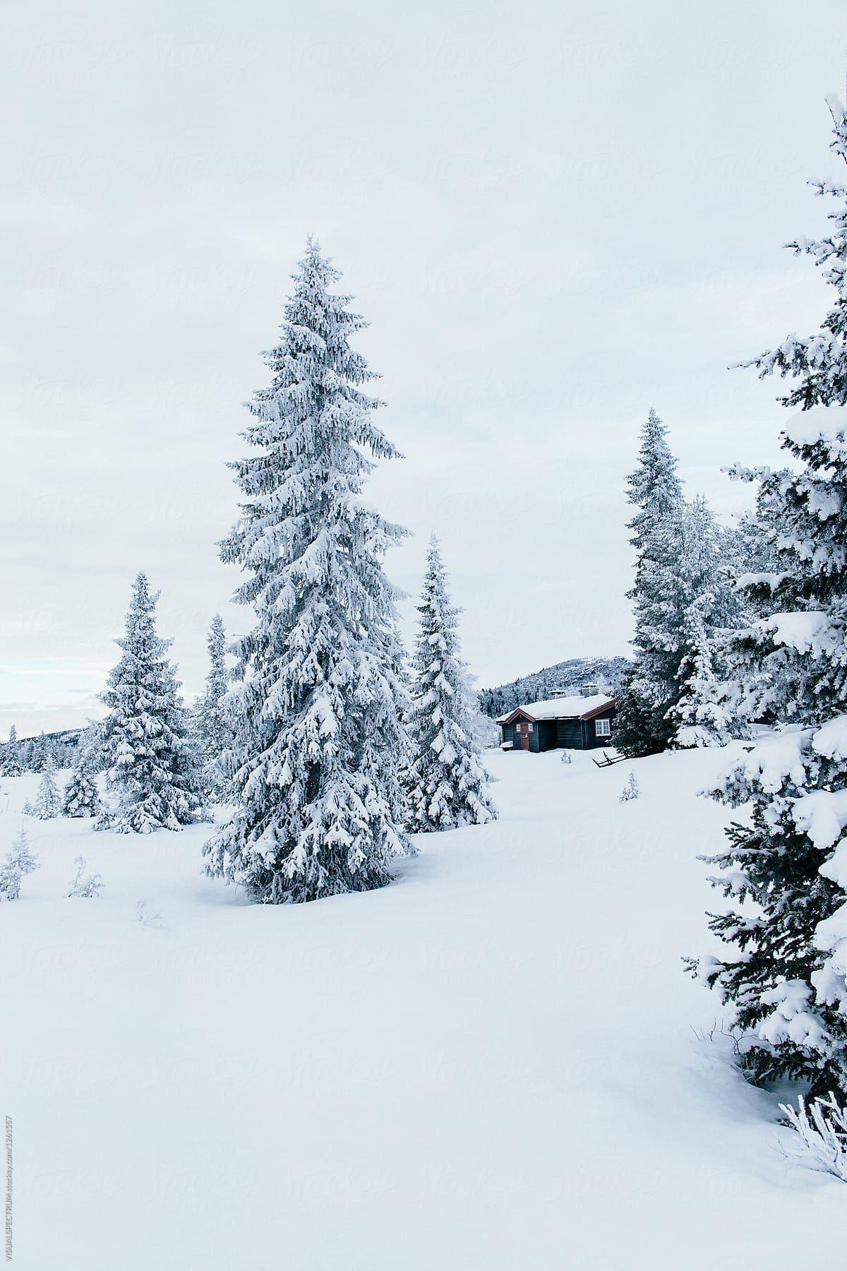 Nordic Winter Wallpapers - Top Free Nordic Winter Backgrounds ...