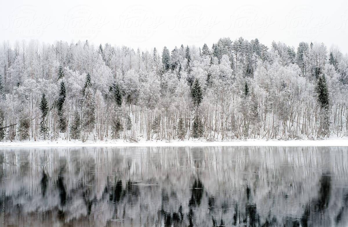 Nordic Winter Wallpapers - Top Free Nordic Winter Backgrounds ...