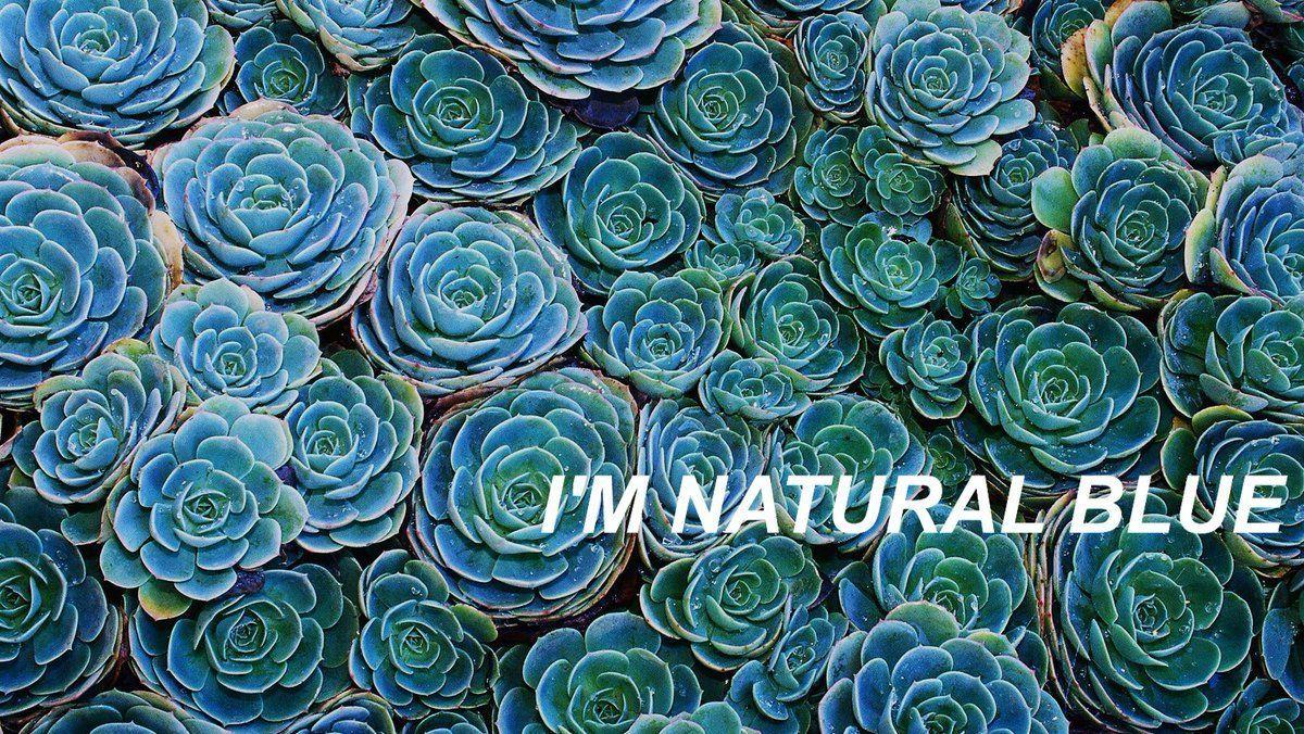 Band Laptop Wallpapers - Top Free Band Laptop Backgrounds - WallpaperAccess