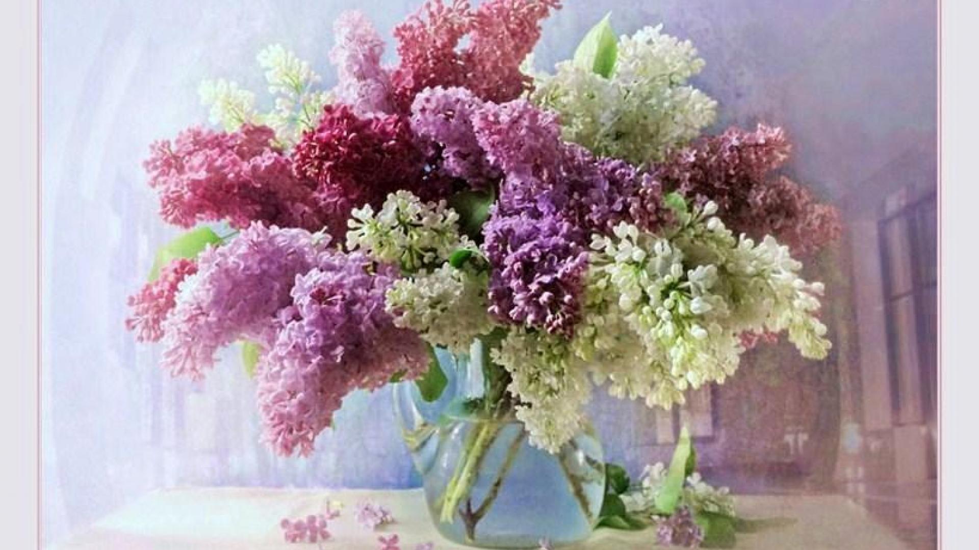 Lilac Flower Wallpapers - Top Free Lilac Flower Backgrounds ...