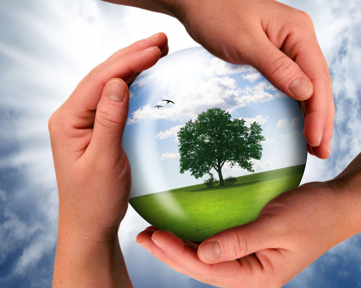 Mother Nature Wallpapers - Top Free Mother Nature Backgrounds ...