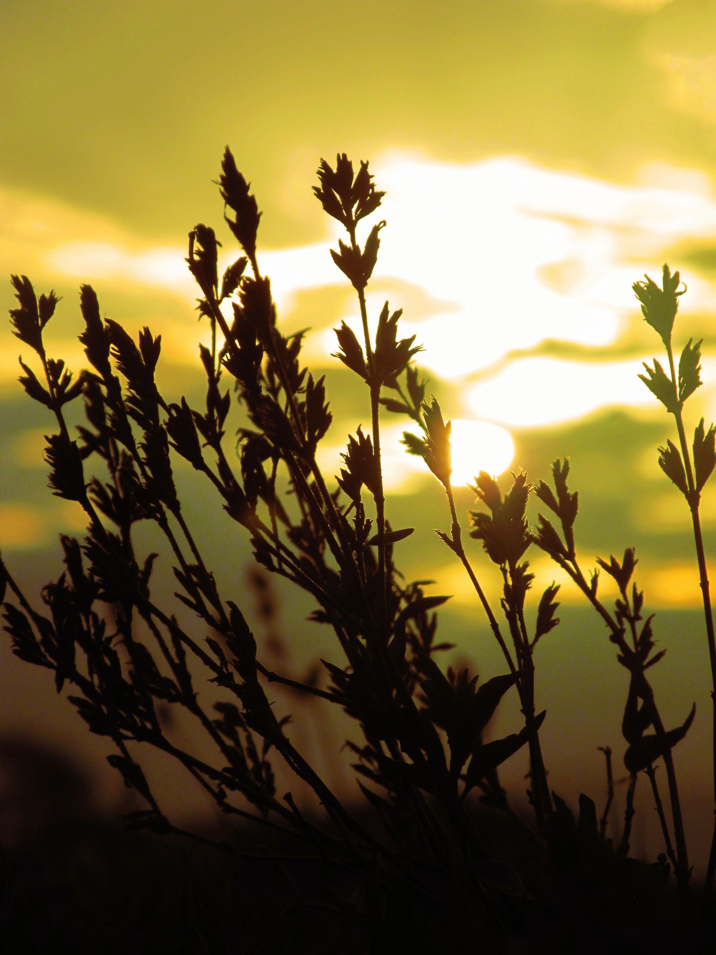 Mother Nature Wallpapers - Top Free Mother Nature Backgrounds ...