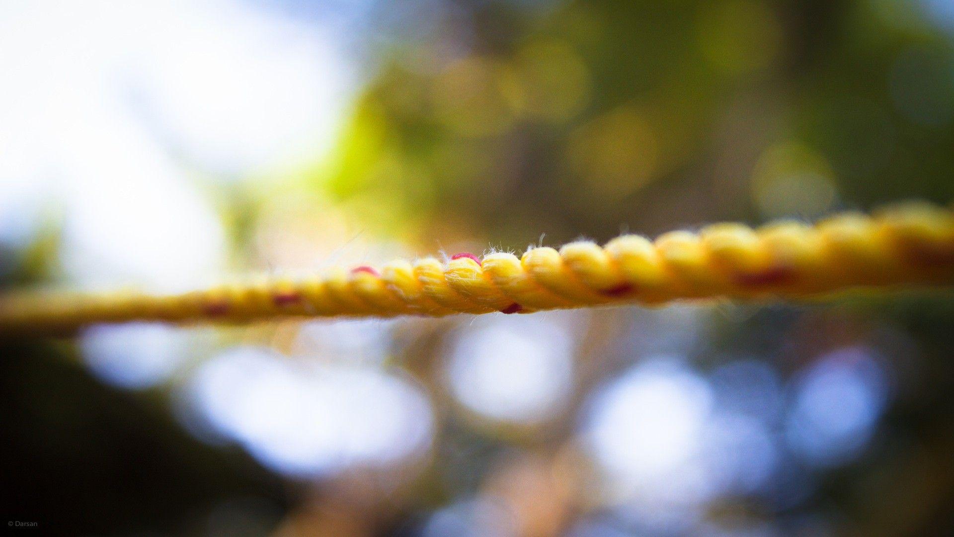 Rope Wallpapers - Top Free Rope Backgrounds - WallpaperAccess