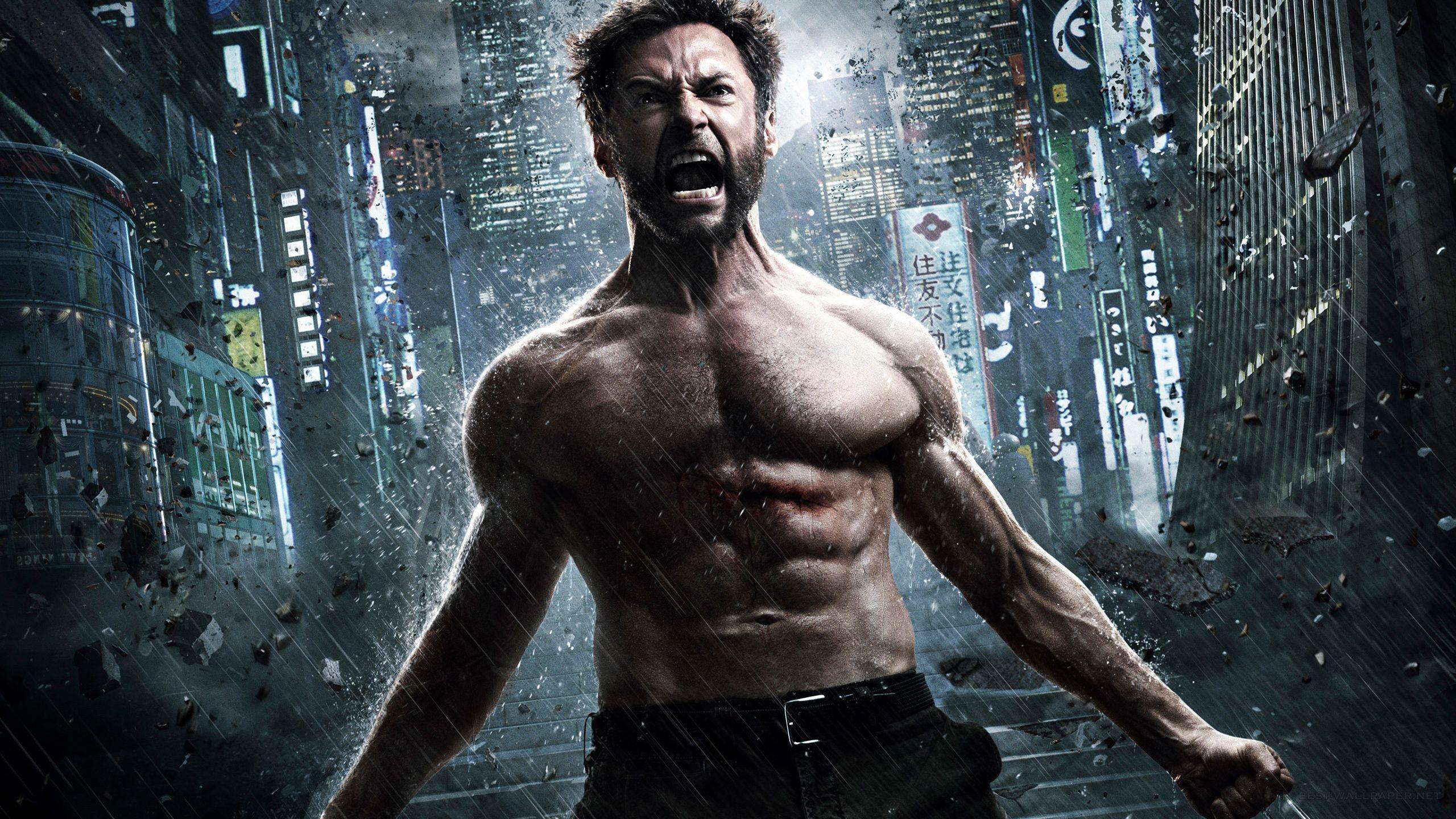 Wolverine 2 Wallpapers - Top Free Wolverine 2 Backgrounds - WallpaperAccess