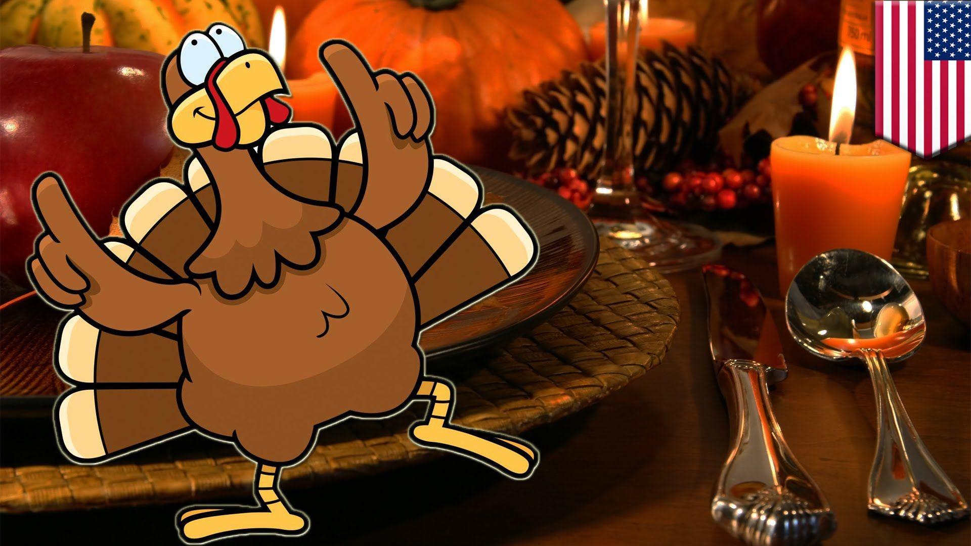 Gobble Wallpapers - Top Free Gobble Backgrounds - WallpaperAccess