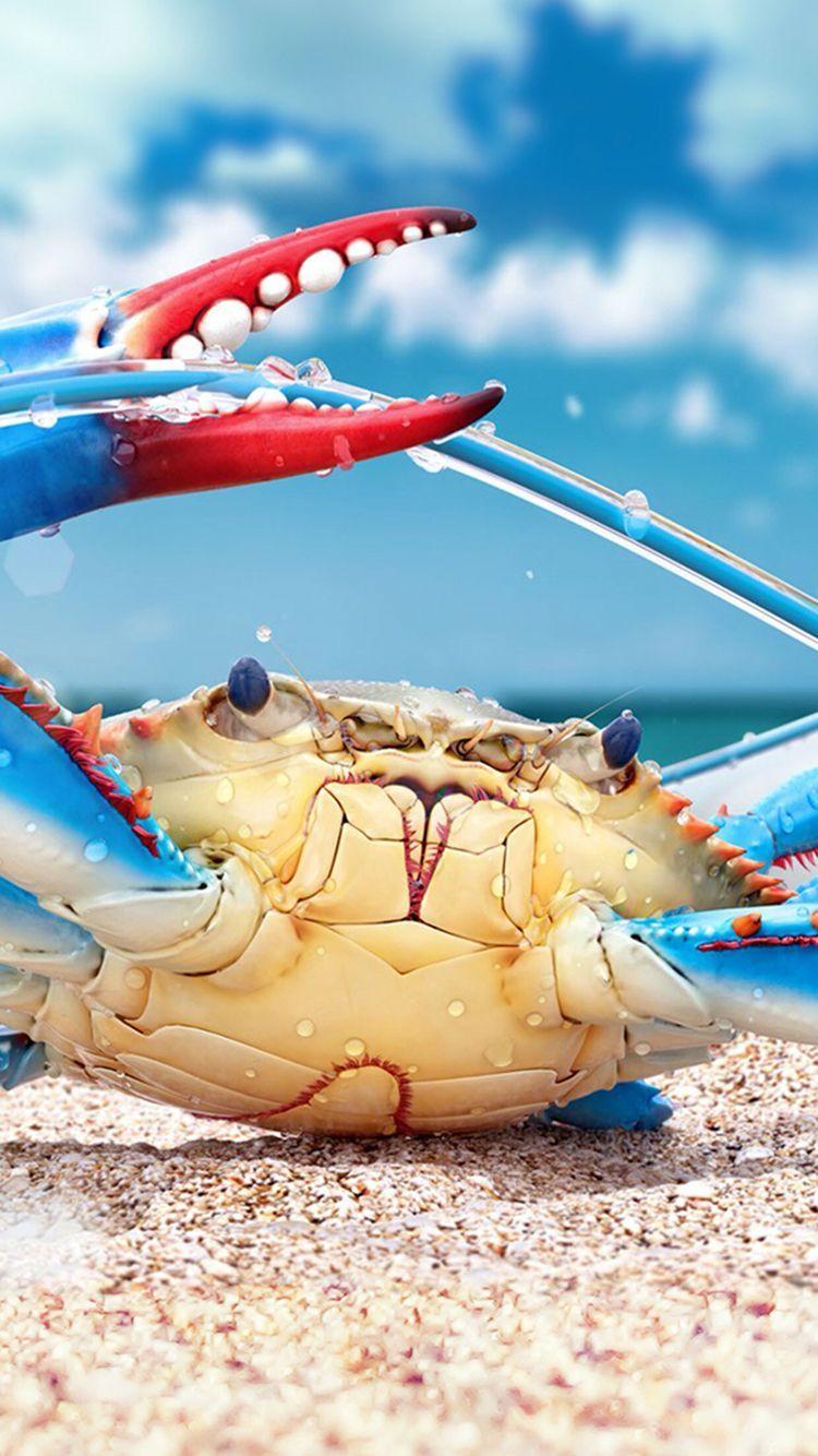 Crab Wallpapers - Top Free Crab Backgrounds - WallpaperAccess