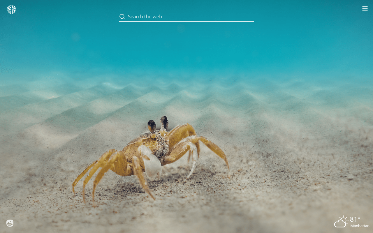 Crab Wallpapers - Top Free Crab Backgrounds - WallpaperAccess