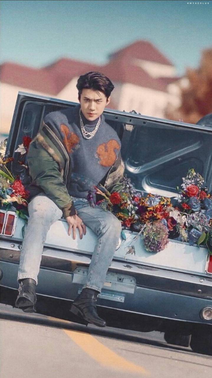 Oh Sehun Wallpapers - Top Free Oh Sehun Backgrounds - WallpaperAccess