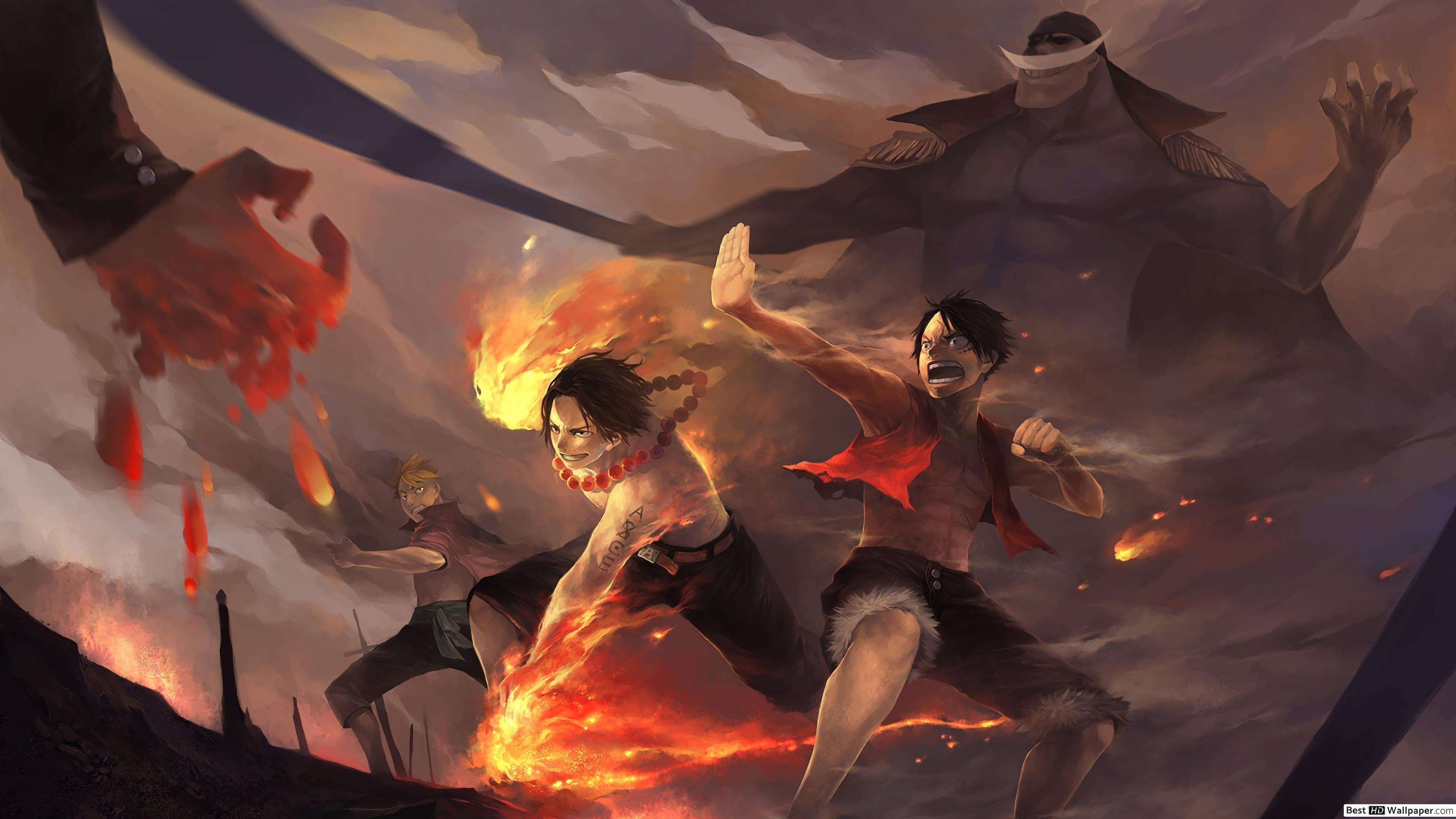 Marco the Phoenix Wallpapers - Top Free Marco the Phoenix Backgrounds ...