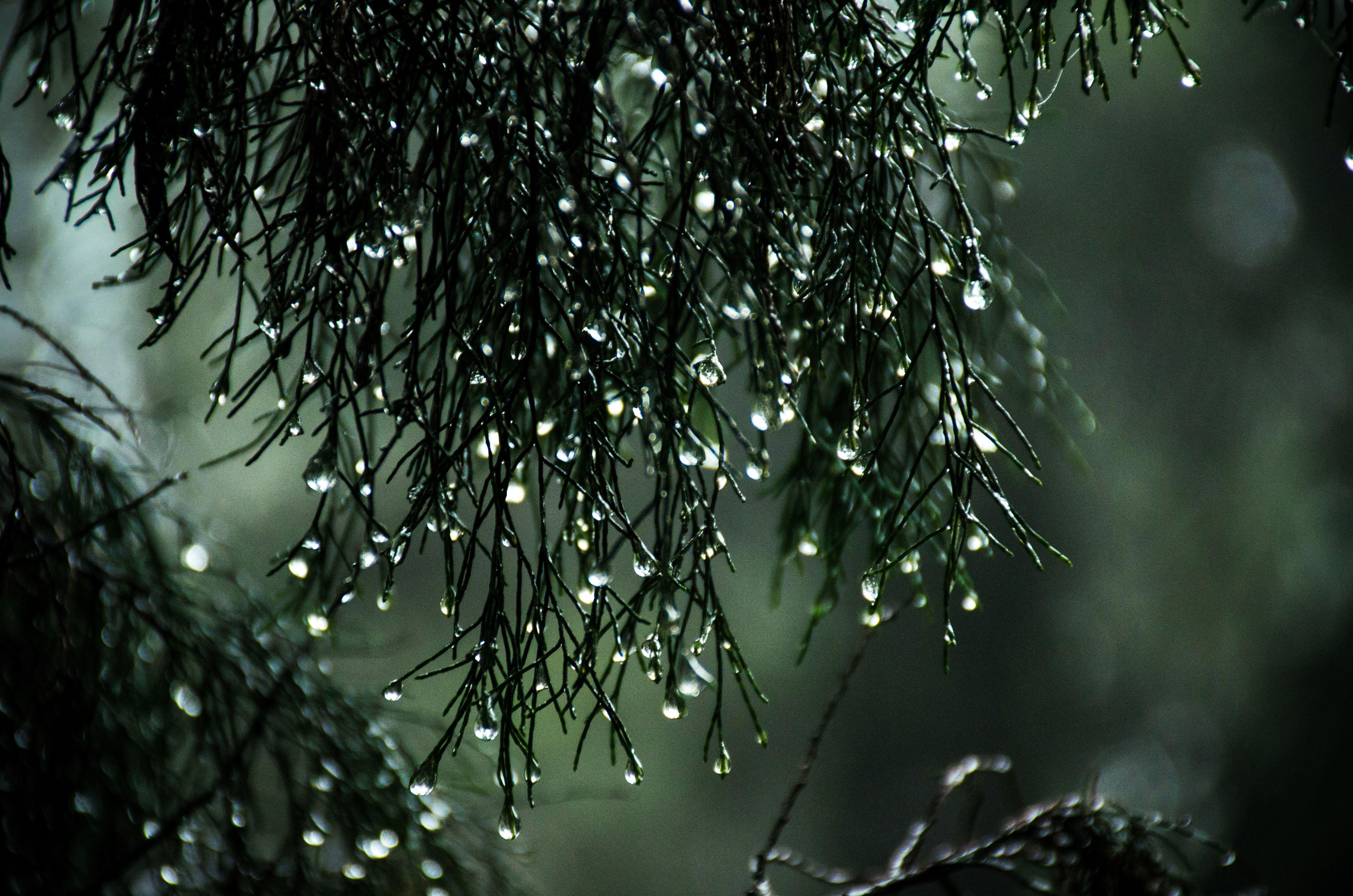 Laptop Rain Wallpapers - Top Free Laptop Rain Backgrounds - WallpaperAccess