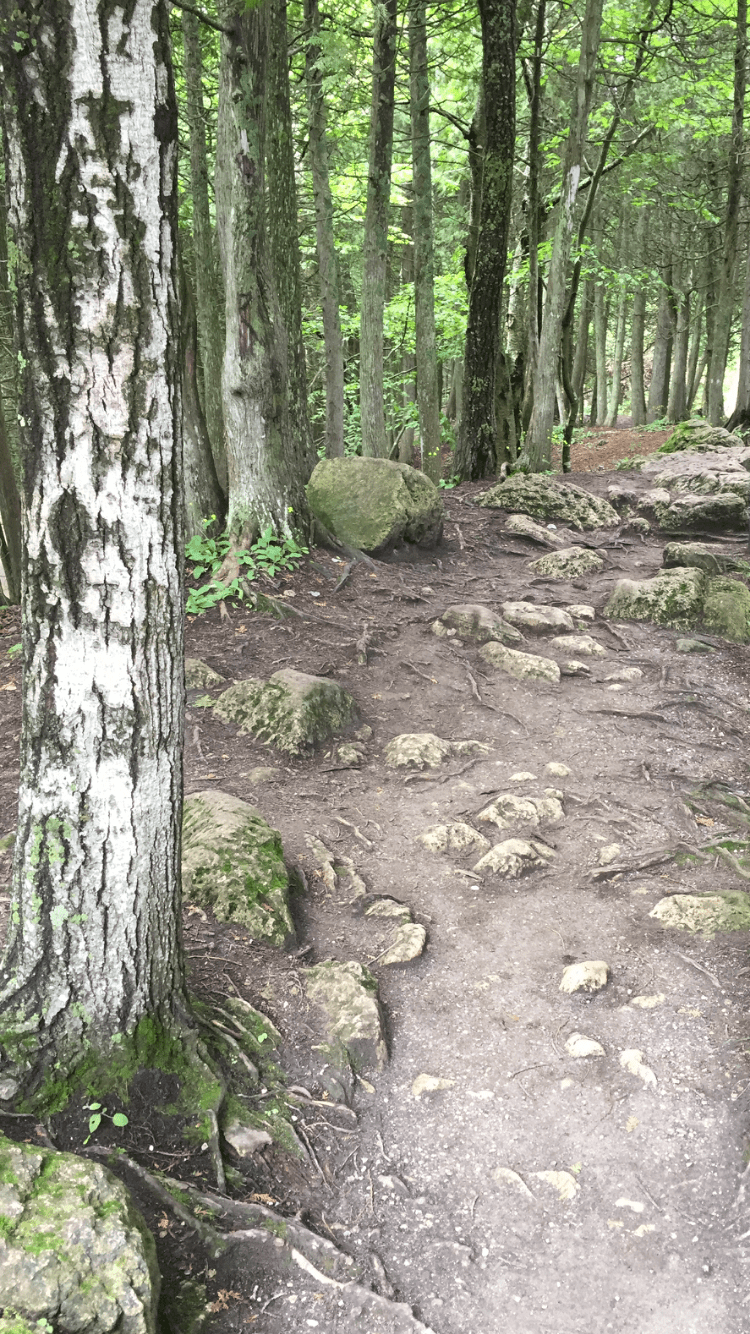 Hiking iPhone Wallpapers - Top Free Hiking iPhone Backgrounds ...