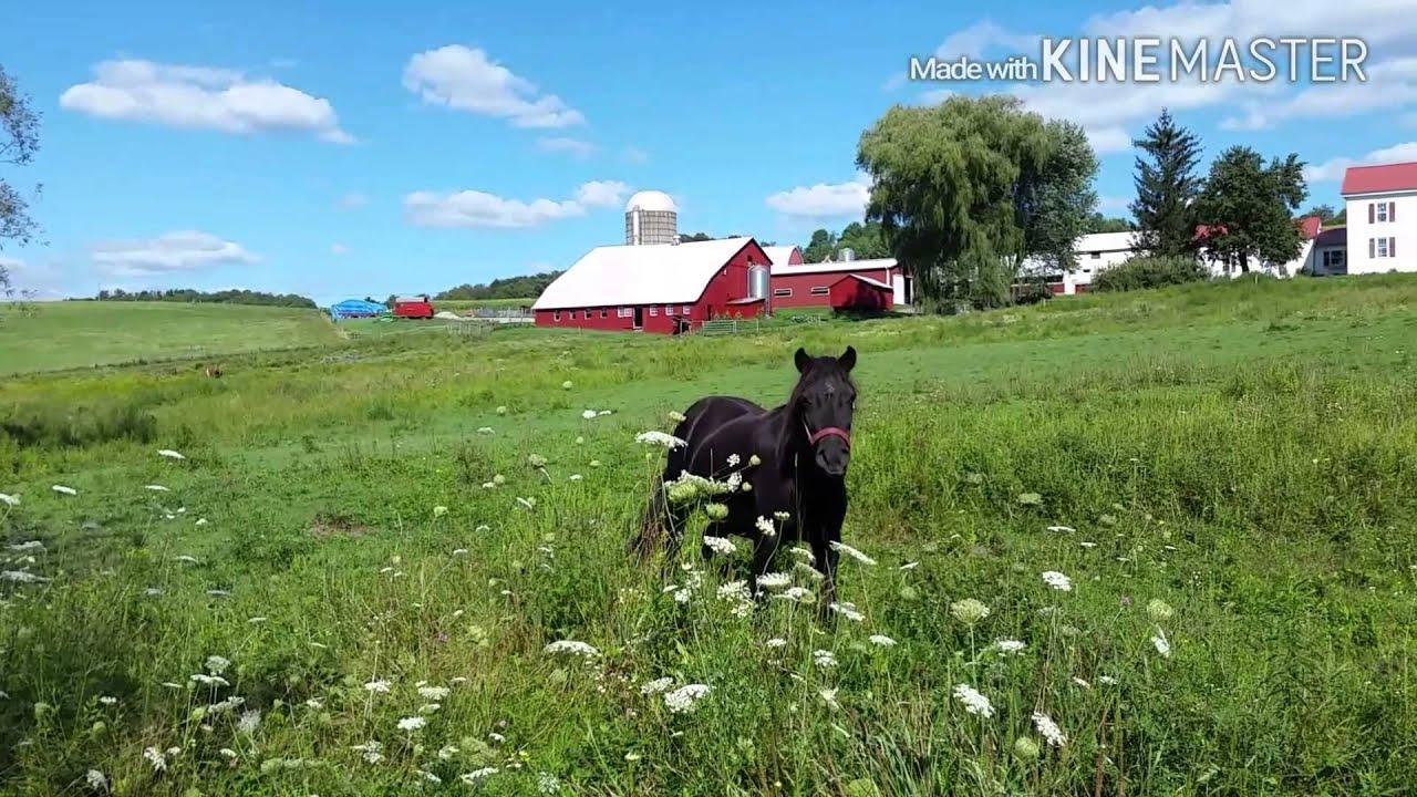 Spring Farm Wallpapers - Top Free Spring Farm Backgrounds - WallpaperAccess