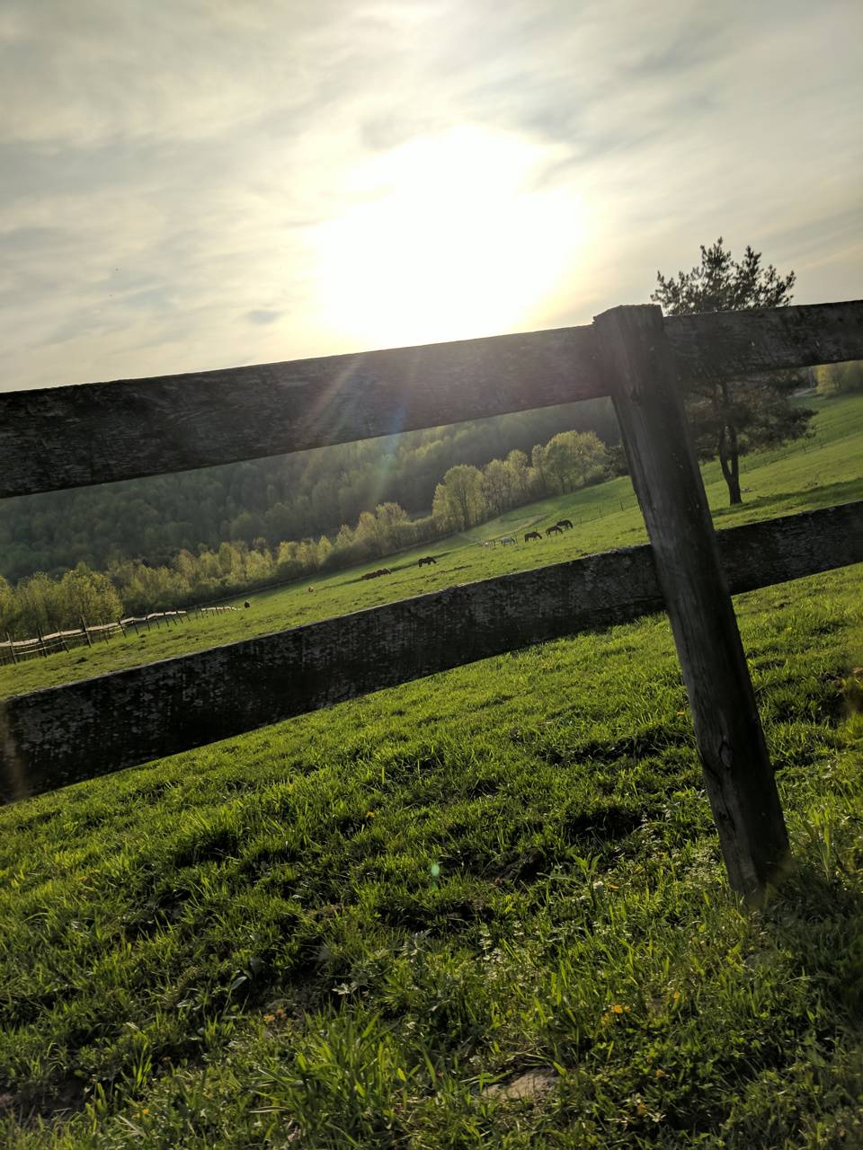 Spring Farm Wallpapers - Top Free Spring Farm Backgrounds - WallpaperAccess