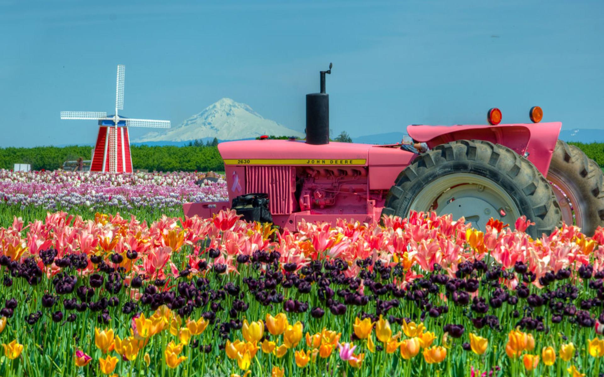 Spring Farm Wallpapers - Top Free Spring Farm Backgrounds - WallpaperAccess