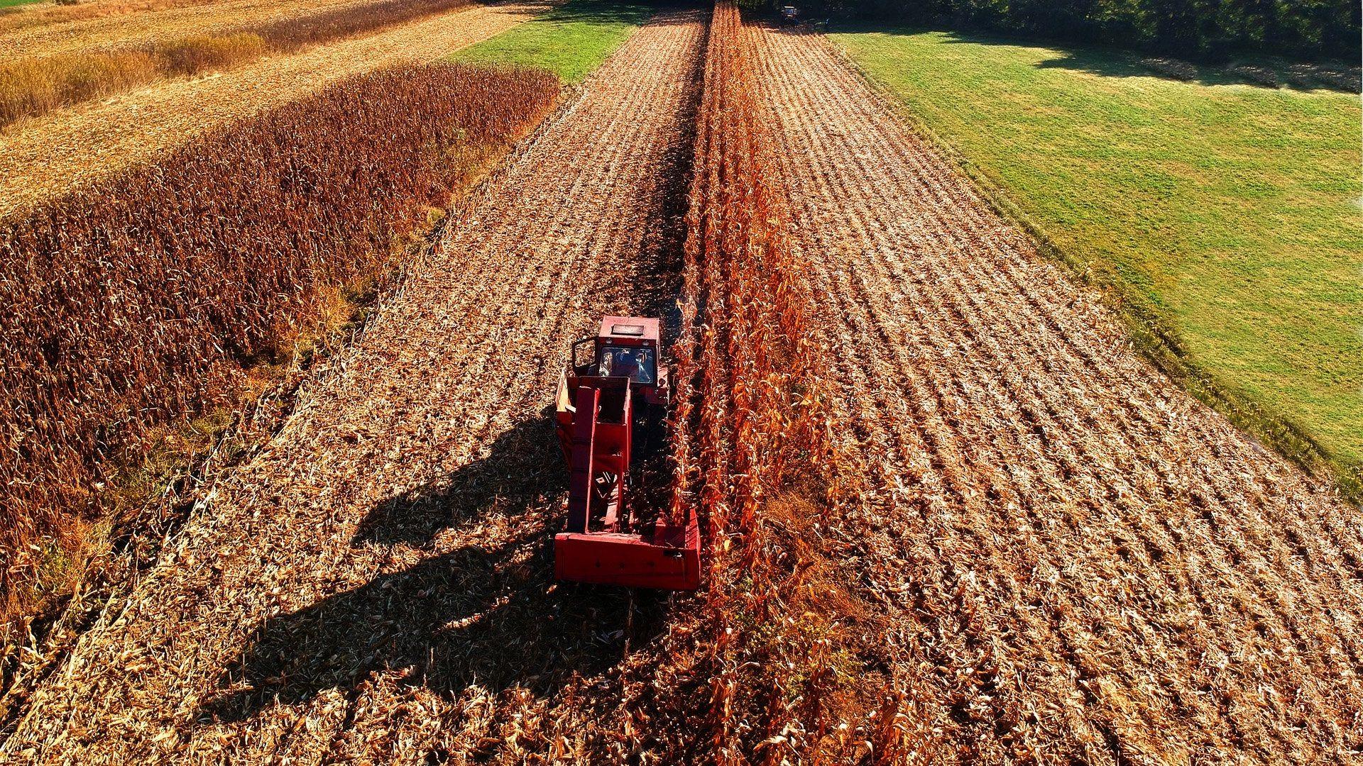 Spring Farm Wallpapers - Top Free Spring Farm Backgrounds - WallpaperAccess