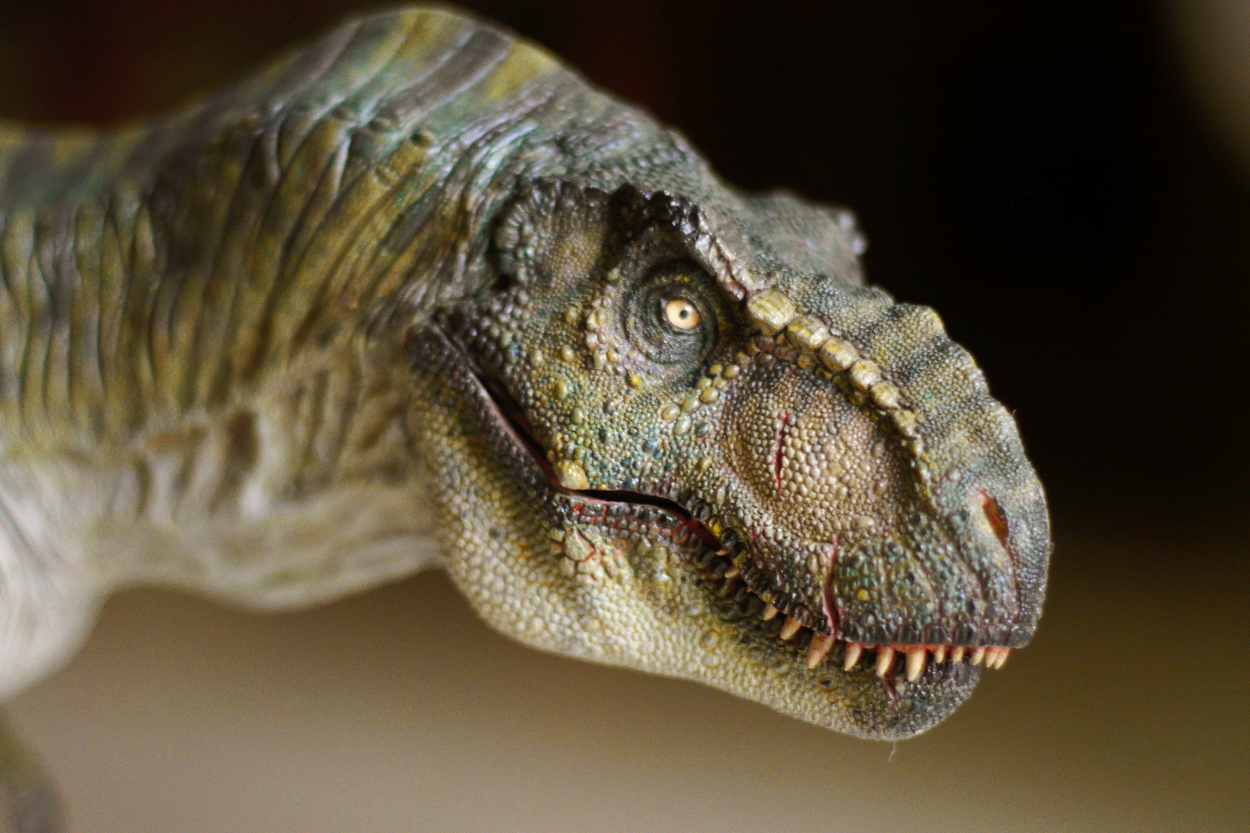 4K Dinosaur Wallpapers - Top Free 4K Dinosaur Backgrounds - WallpaperAccess