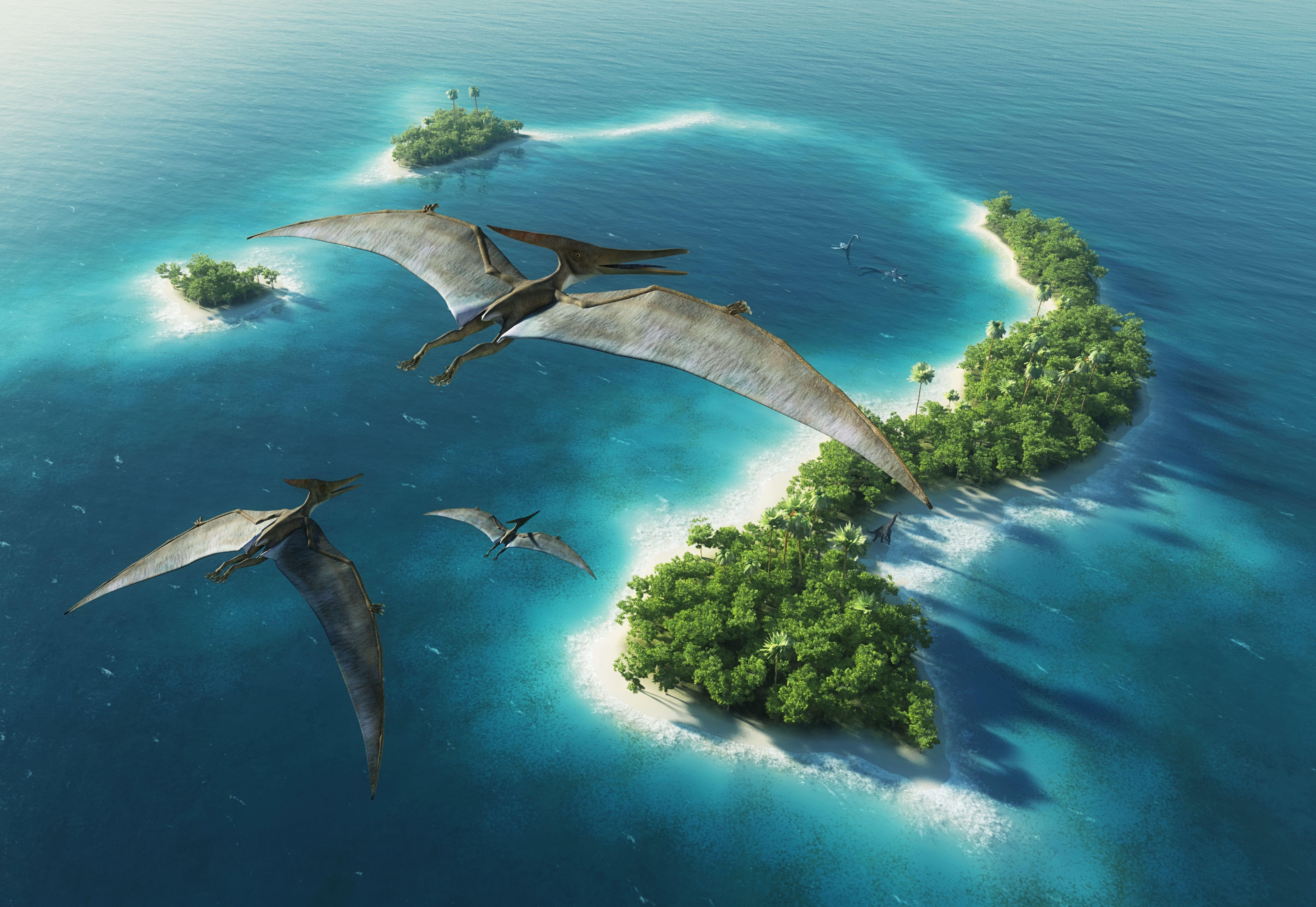 4K Dinosaur Wallpapers - Top Free 4K Dinosaur Backgrounds - WallpaperAccess