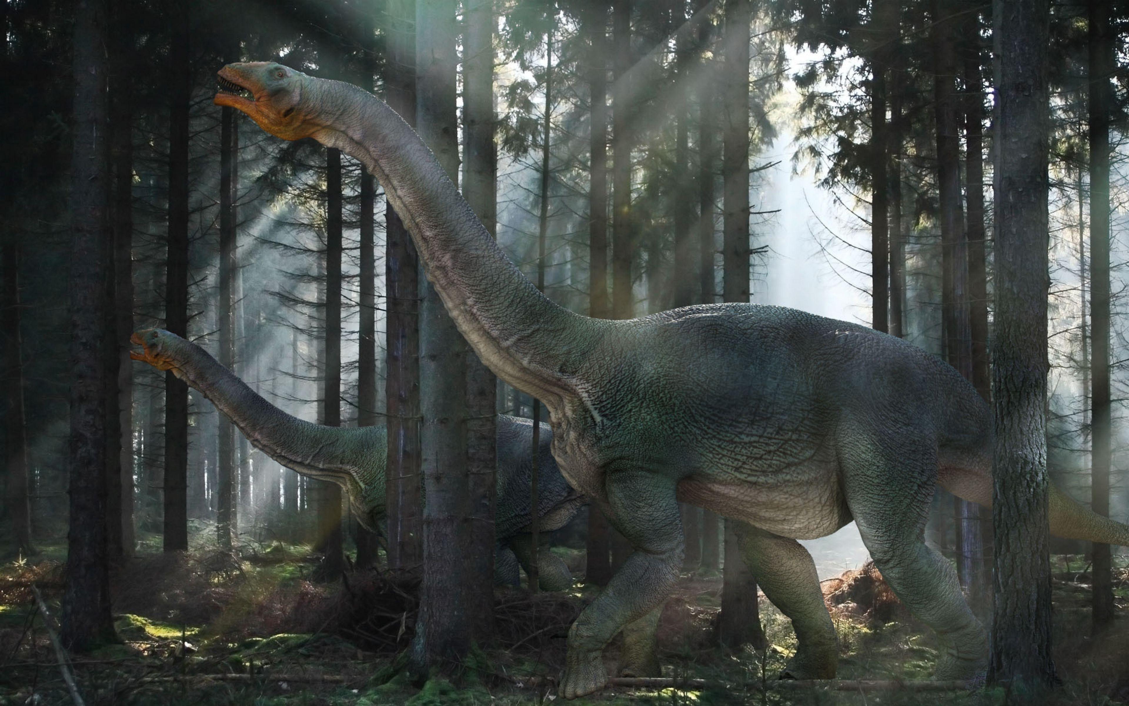 4K Dinosaur Wallpapers - Top Free 4K Dinosaur Backgrounds - WallpaperAccess