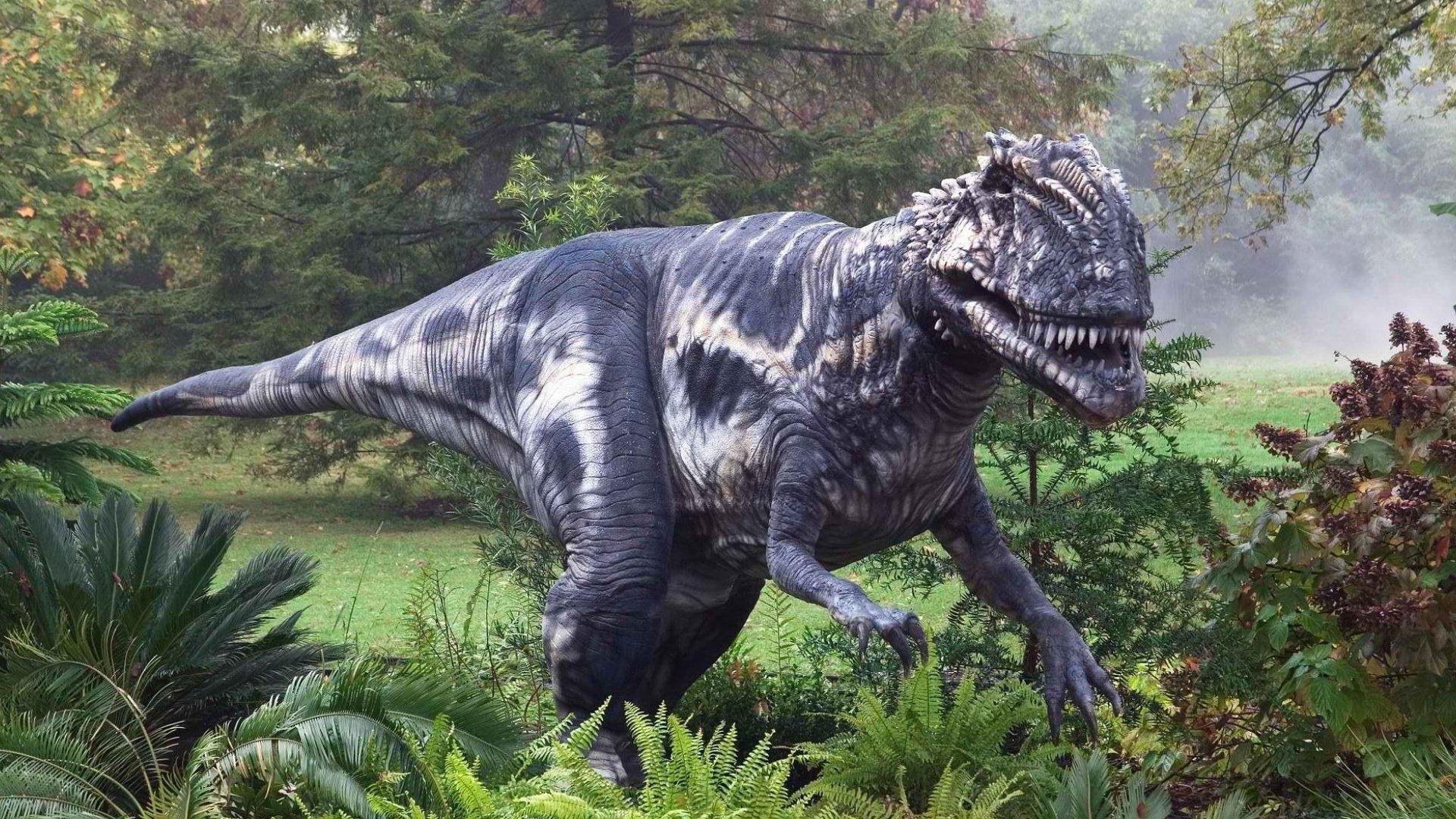 4K Dinosaur Wallpapers - Top Free 4K Dinosaur Backgrounds - WallpaperAccess