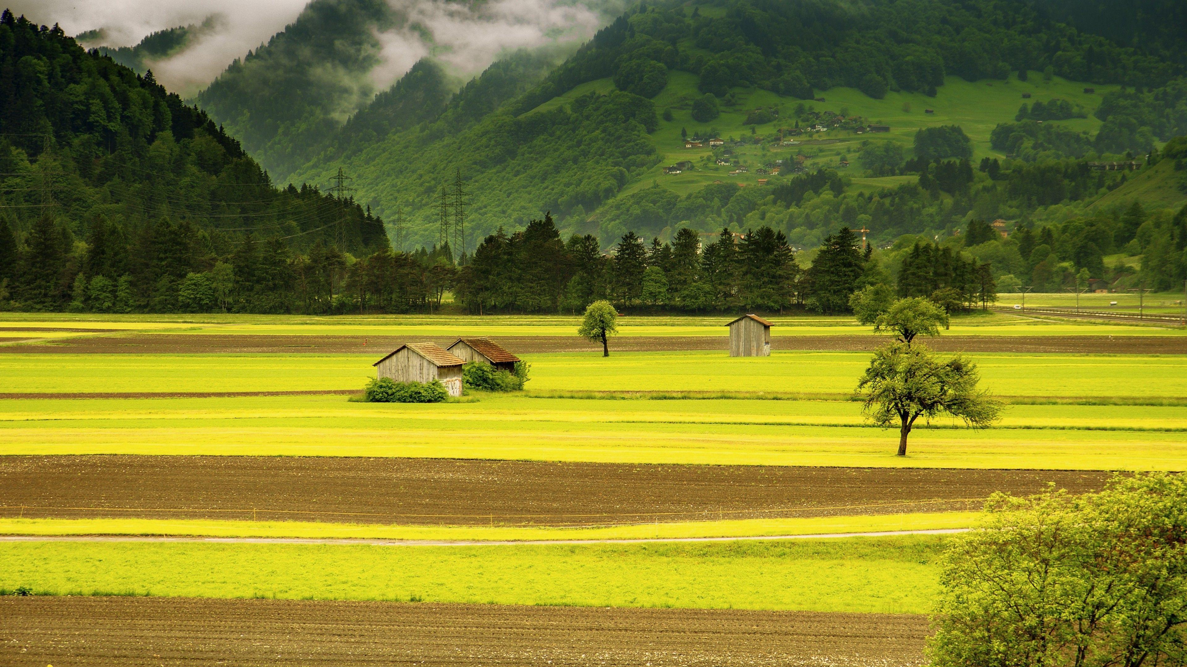 Green Photography Wallpapers - Top Free Green Photography Backgrounds ...