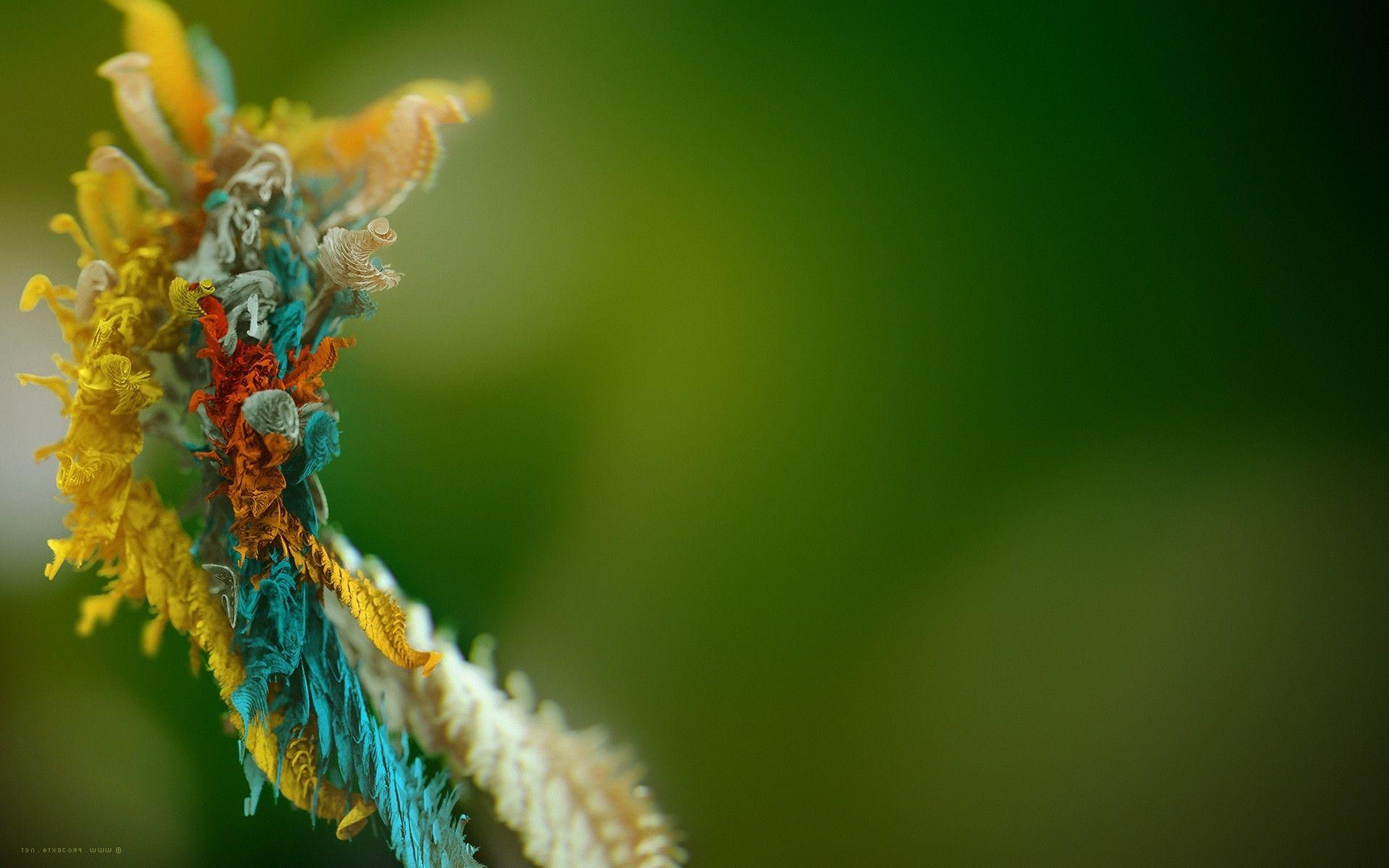 Nature Photography Desktop Wallpapers - Top Free Nature Photography ...