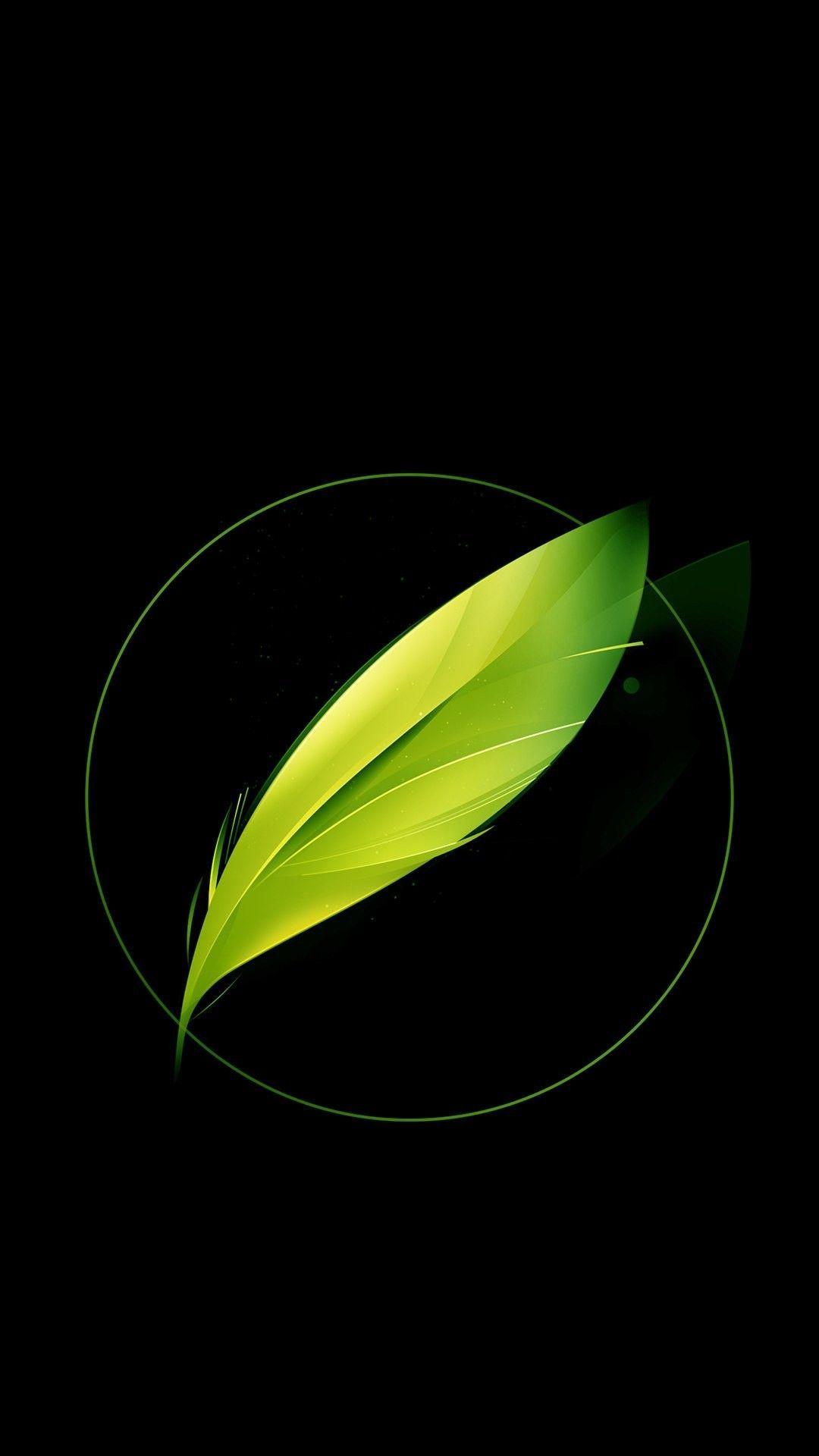Green Photography Wallpapers - Top Free Green Photography Backgrounds ...