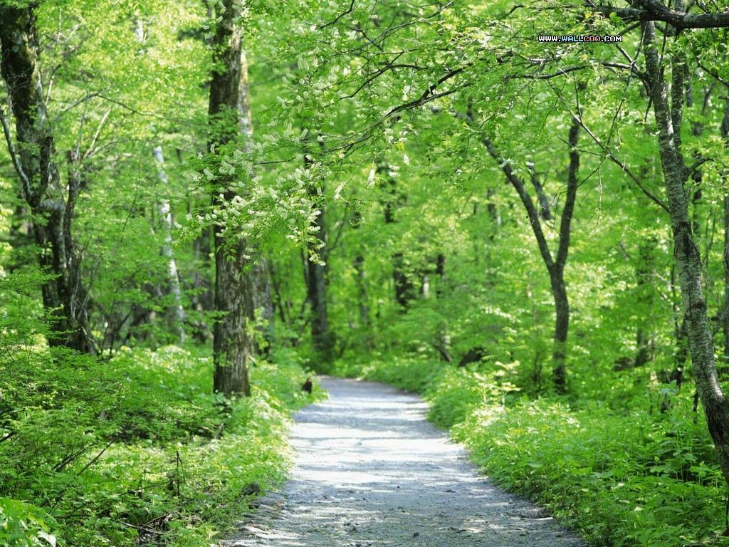 Tumblr Landscape Photography Wallpapers - Top Free Tumblr Landscape ...