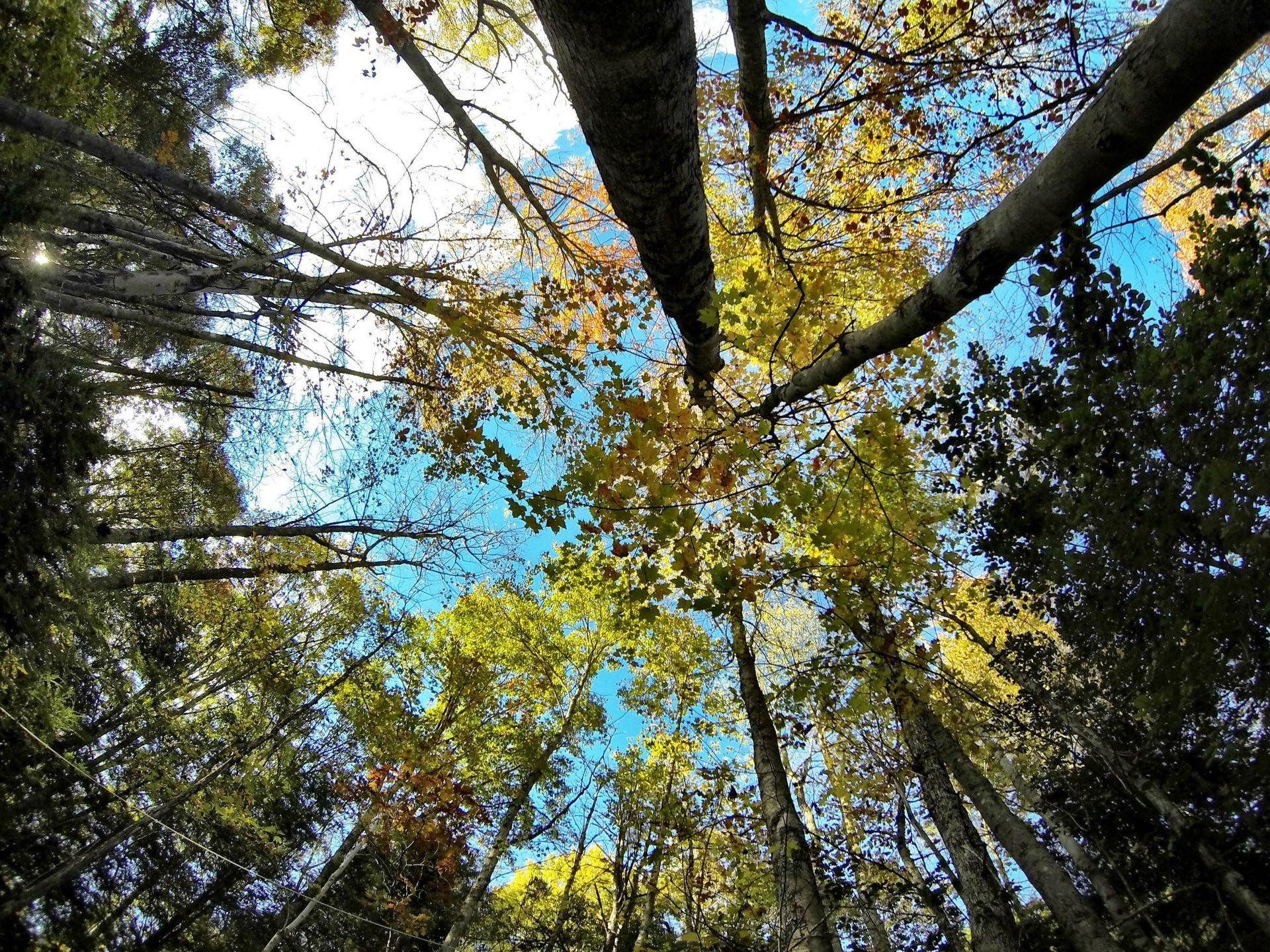 GoPro Wallpapers - Top Free GoPro Backgrounds - WallpaperAccess